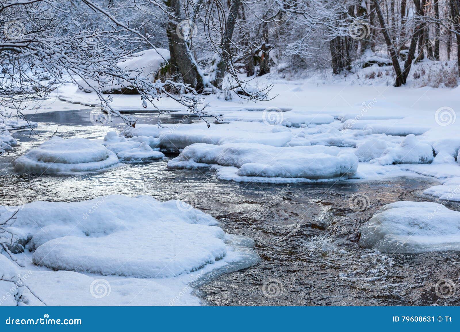 Icy River stock image. Image of covered, open, stillness - 79608631