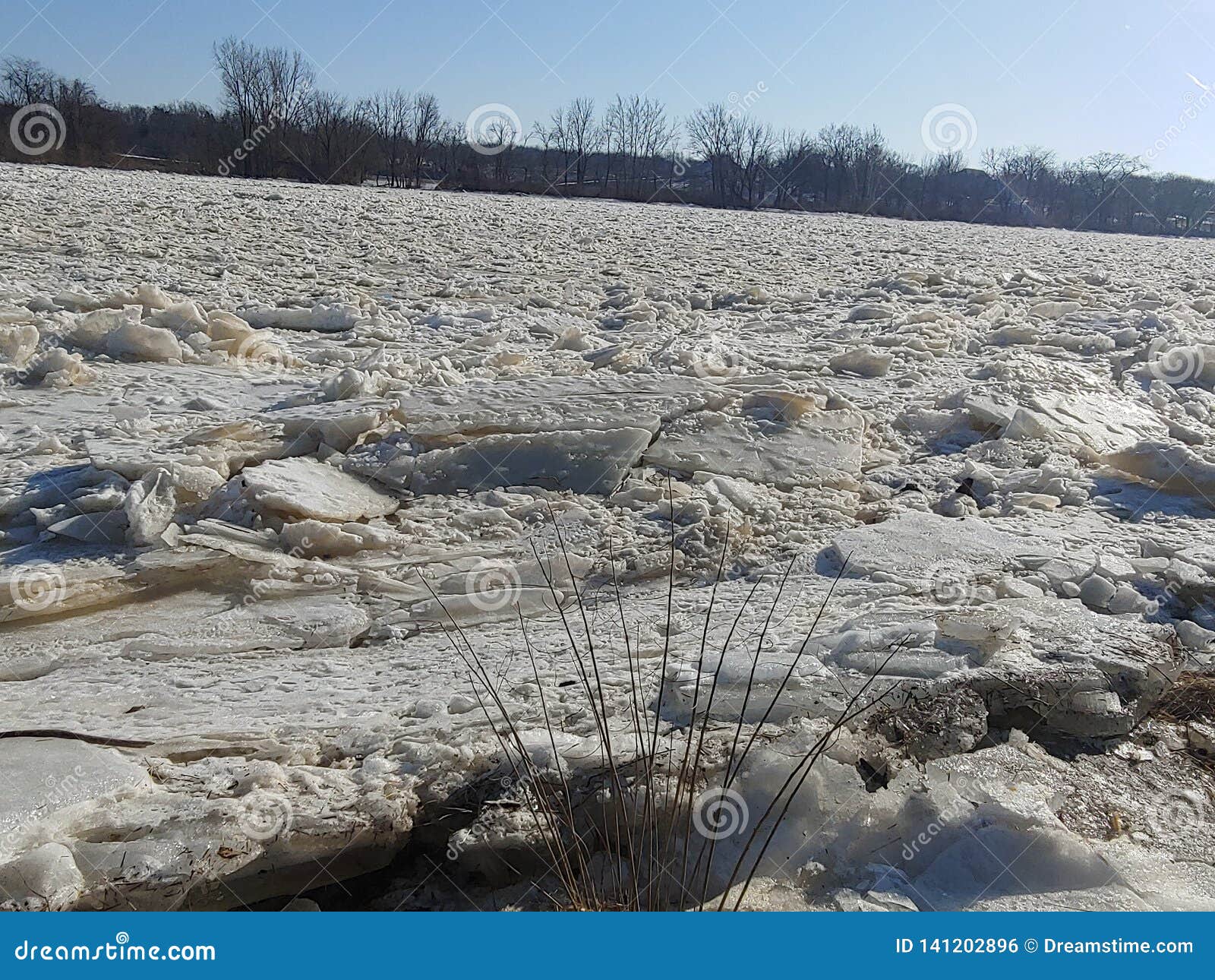 Icy river stock photo. Image of surrounded, trees, river - 141202896