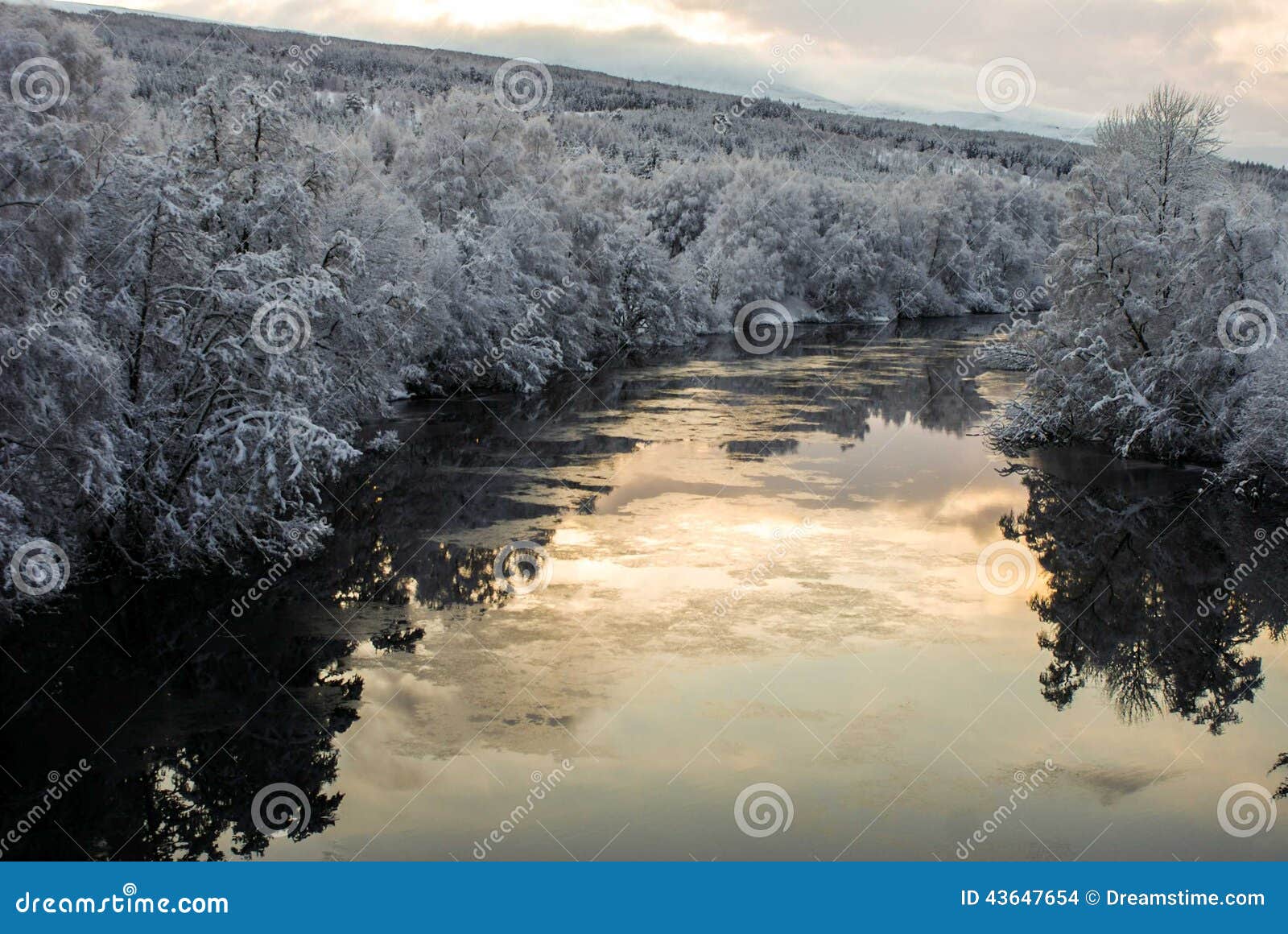 Icy River stock photo. Image of beautiful, clouds, pinetrees - 43647654