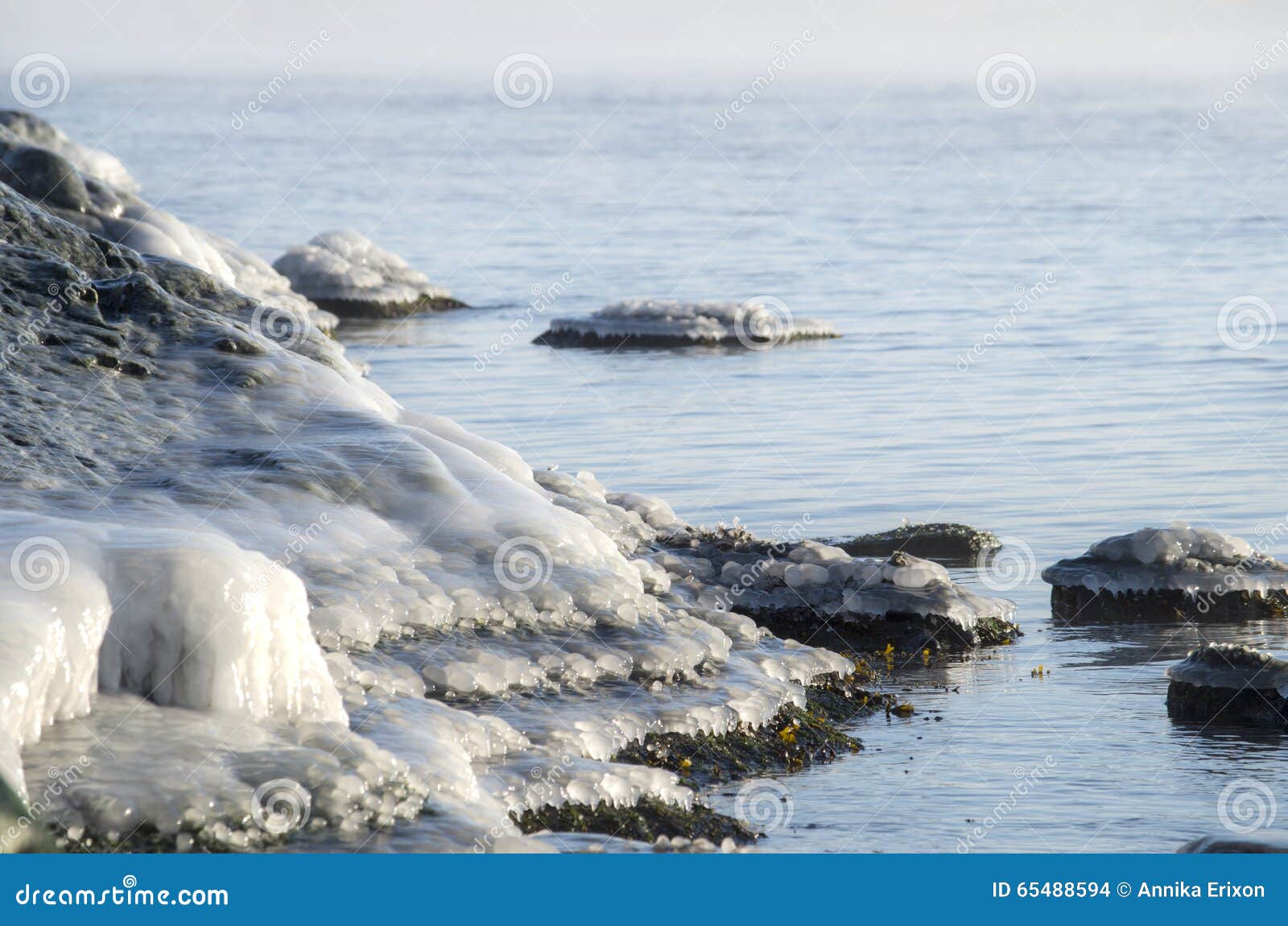 Icy rock stock photo. Image of climate, morning, seasonal - 65488594