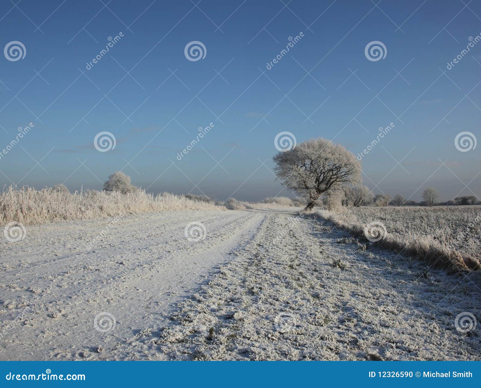 Icy scene stock photo. Image of sunny, outdoors, clear - 12326590