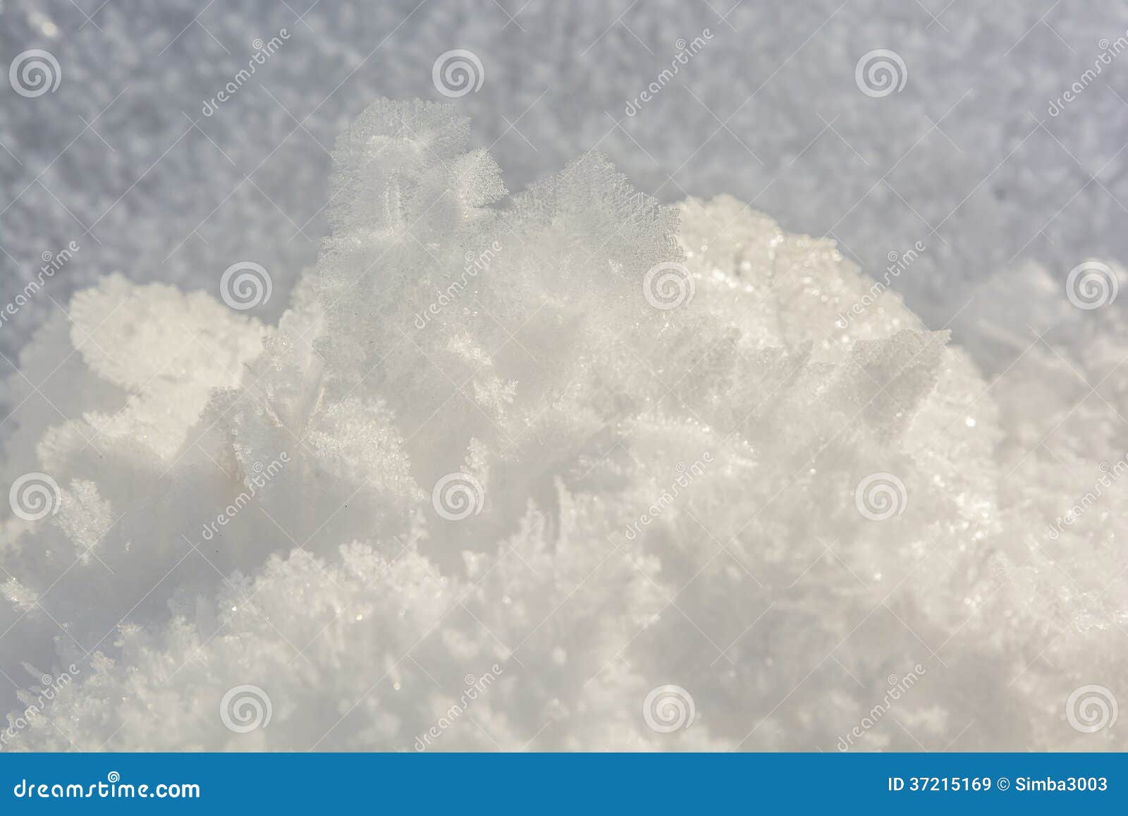 Icy snow stock image. Image of chill, closeup, cold, fresh - 37215169