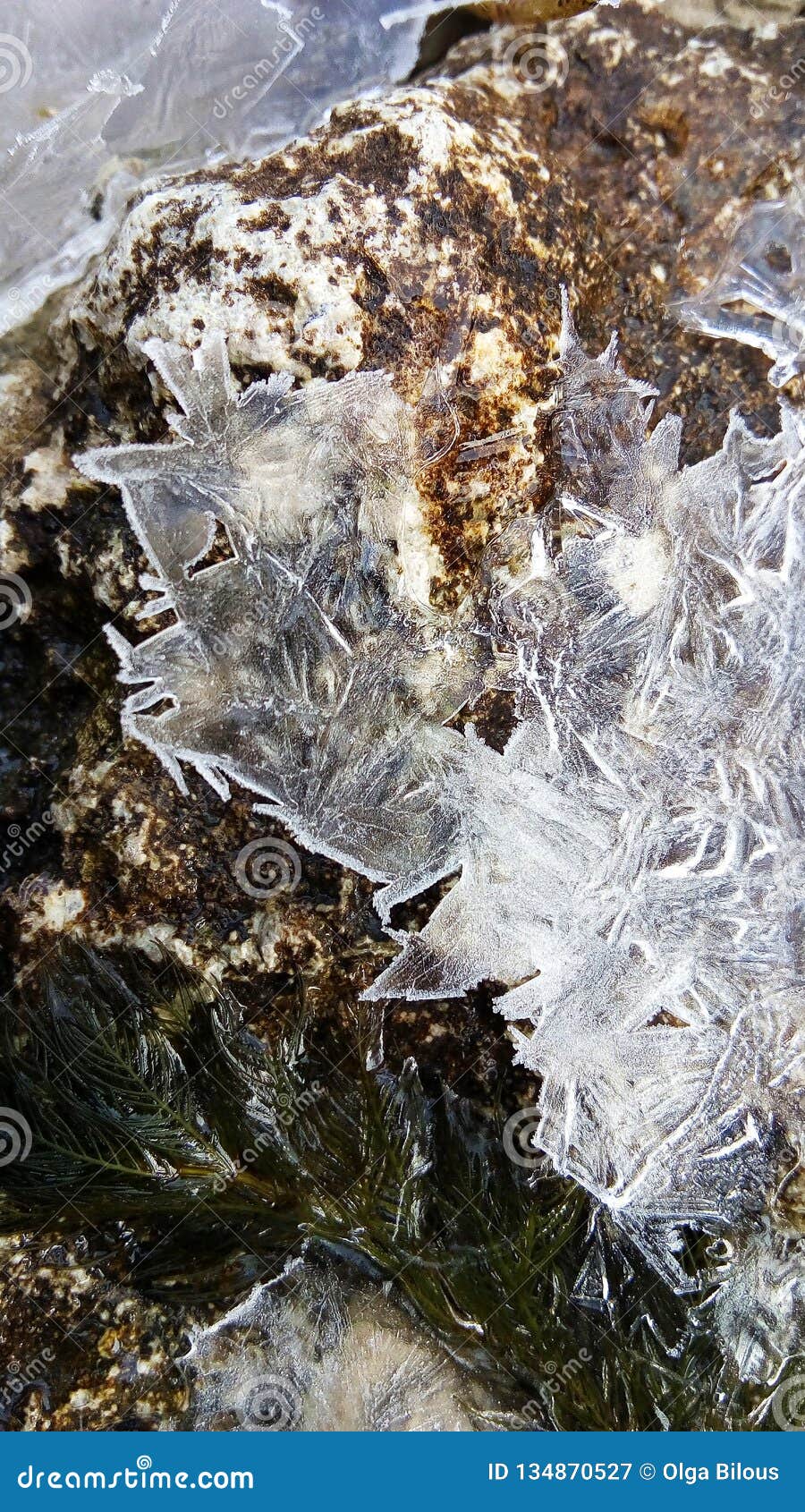 Icy stone stock image. Image of stone, photographer - 134870527