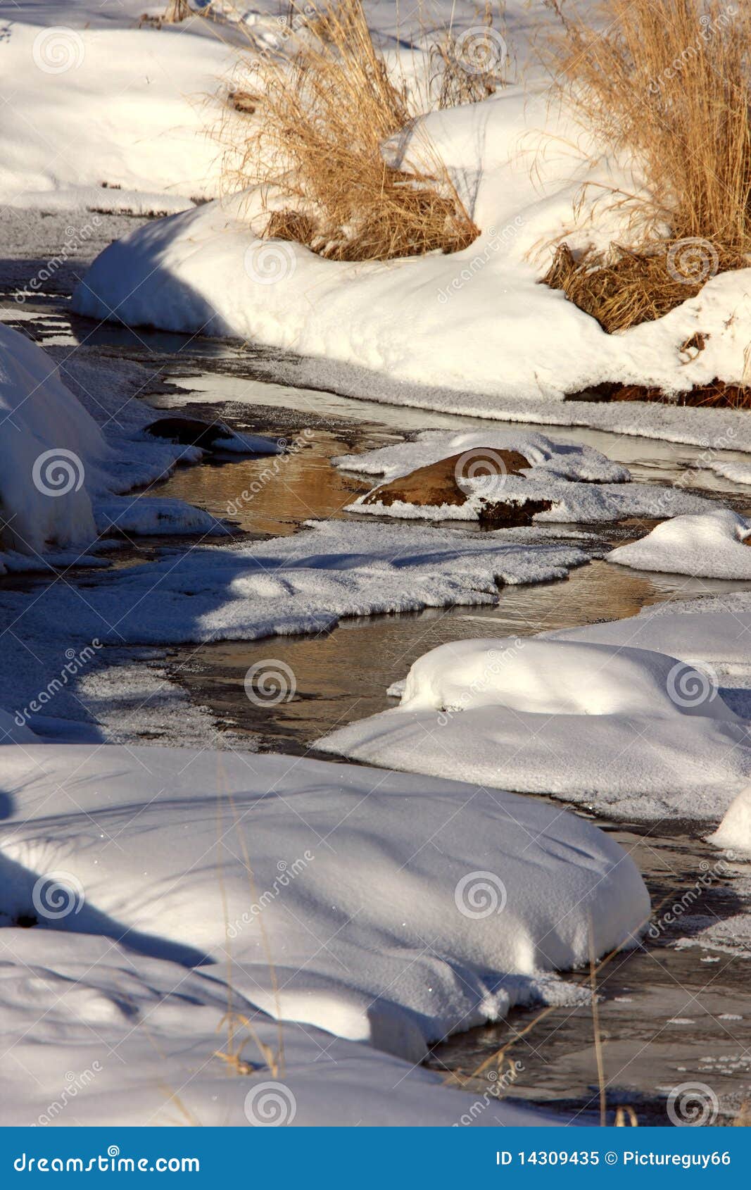 Icy Stream in Winter stock image. Image of stream, texture - 14309435