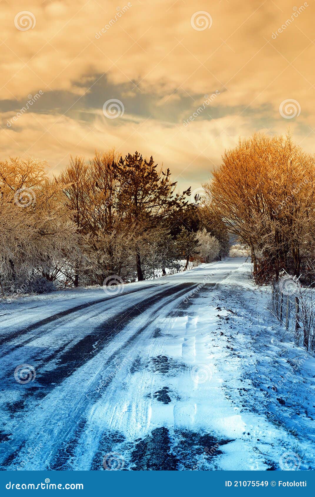 Icy street in the park stock image. Image of forest, nature - 21075549