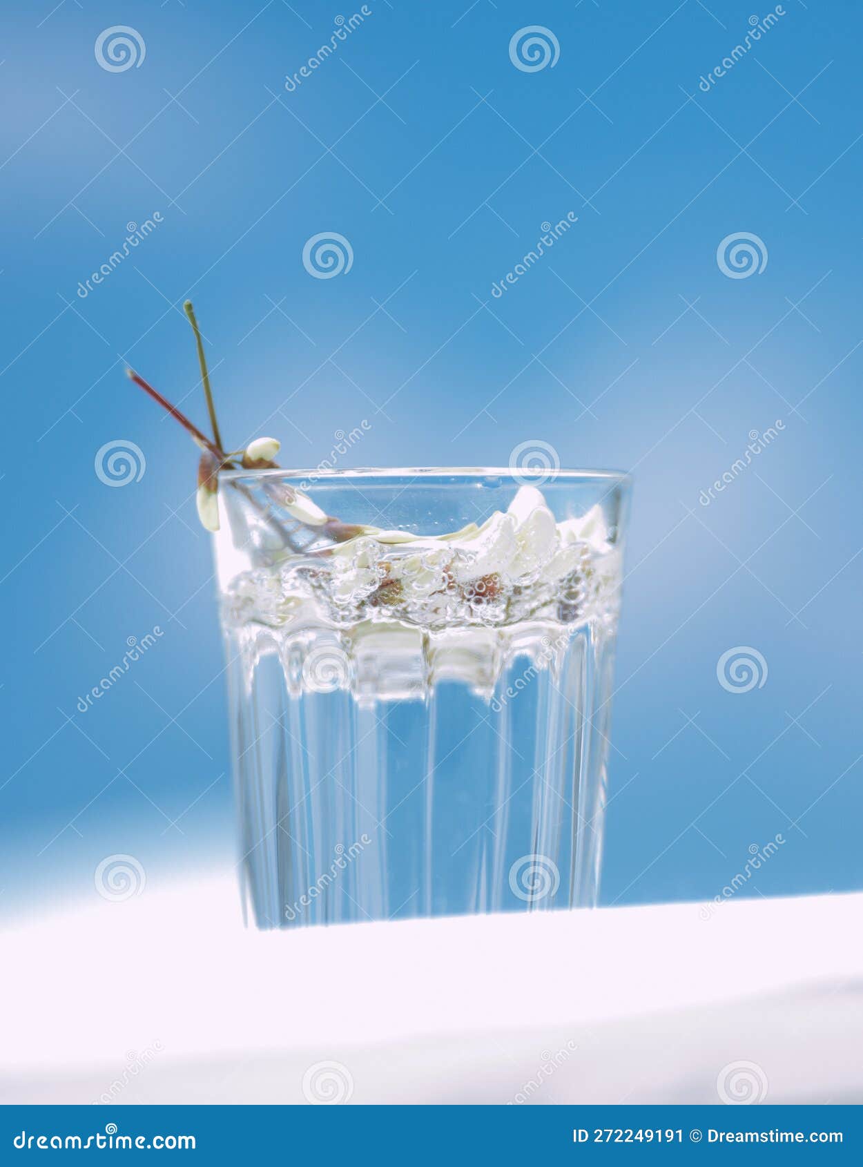 Icy Summer Drink, Water, Refreshing, Flower, Blue Wallpaper Material ...