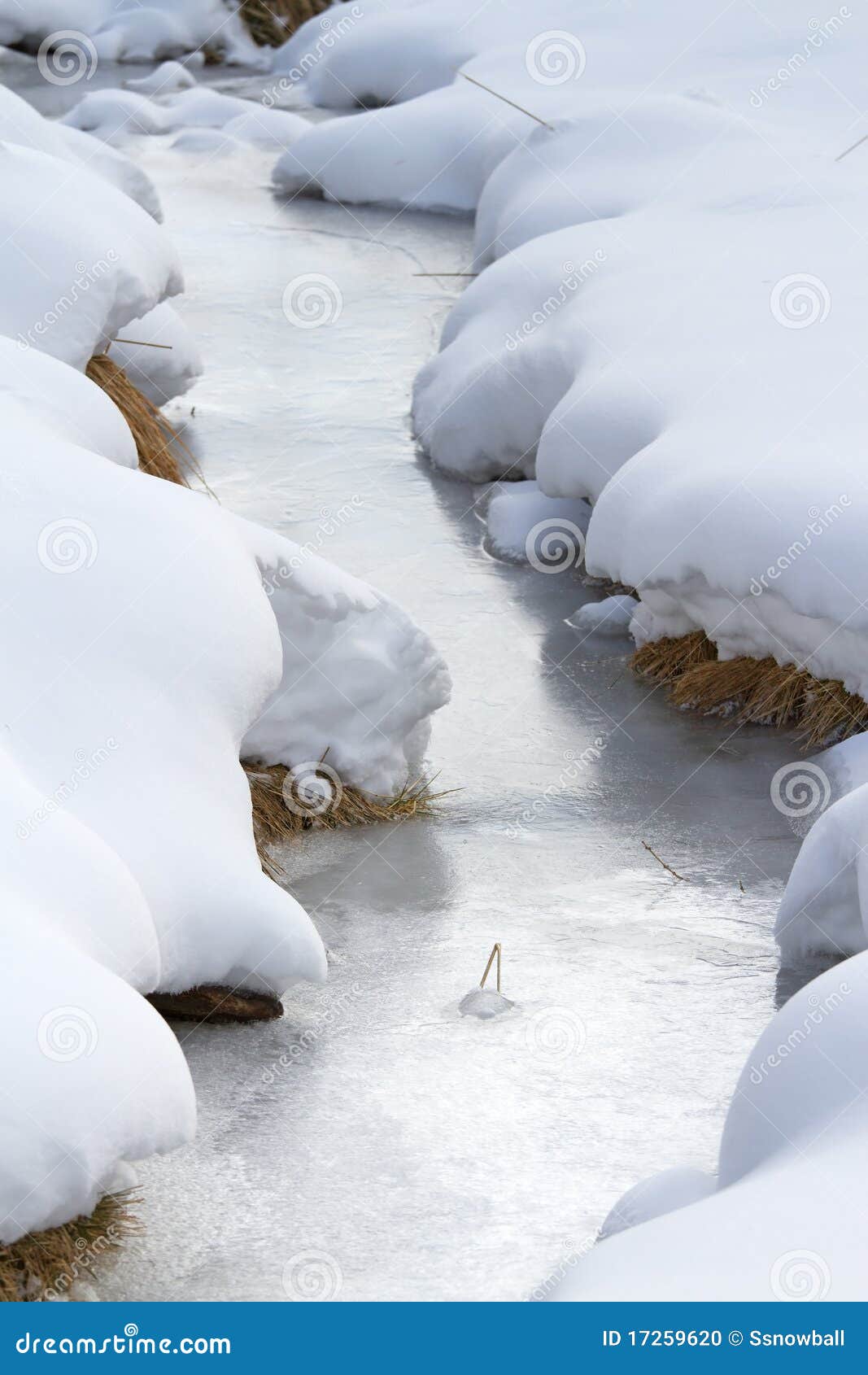 Icy torrent stock photo. Image of riverbank, current - 17259620