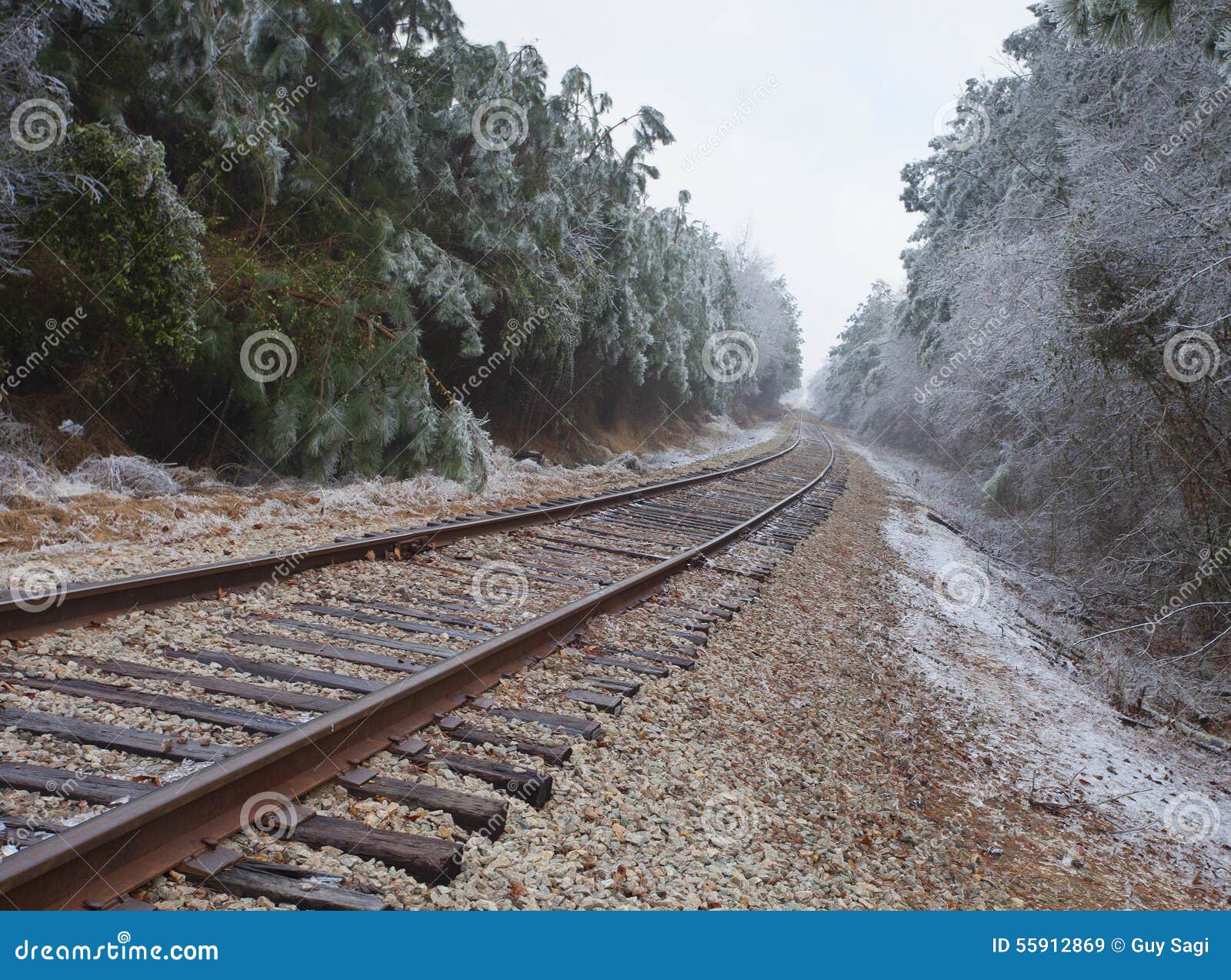 Icy tracks stock image. Image of green, trees, blue, wood - 55912869