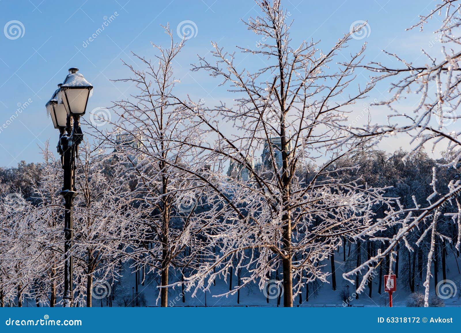 Icy tree stock photo. Image of lucky, foggy, blessed - 63318172