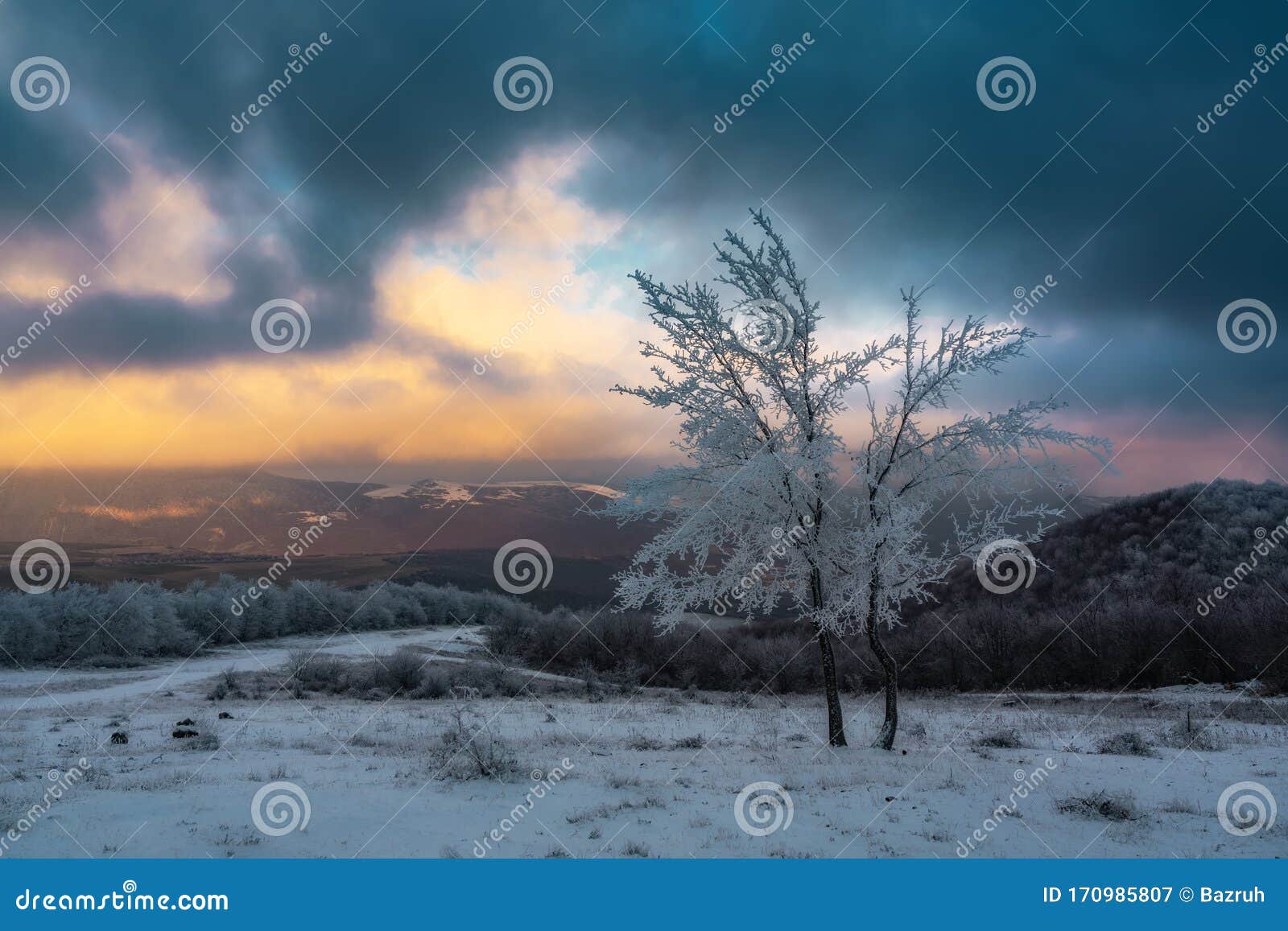 Icy Tree in a Snowy Field at Sunset Stock Image - Image of evening ...
