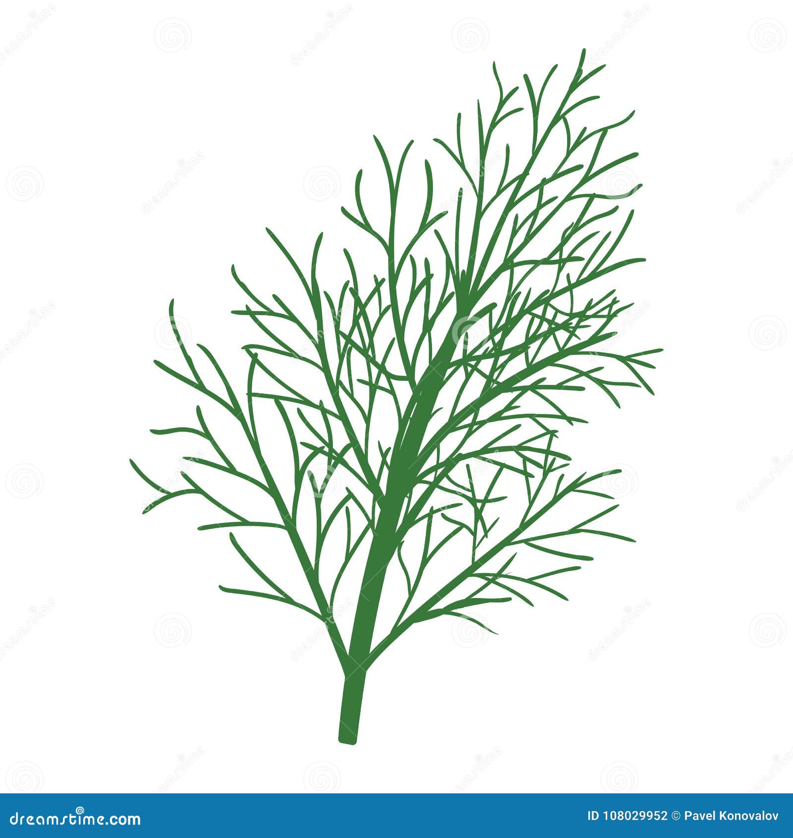 Icône d'aneth illustration de vecteur. Illustration du régime - 108029952
