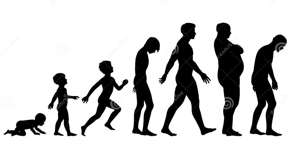 Idades do homem ilustração do vetor. Ilustração de idades - 30717049