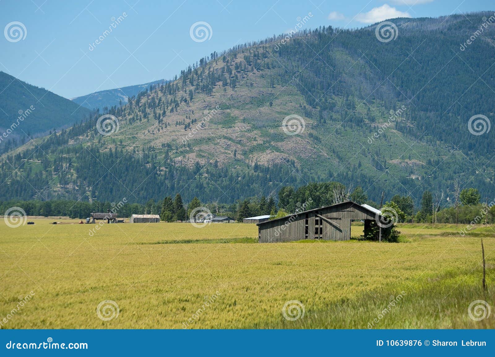 Idaho Farmland stock photo. Image of farmland, barn, wheat - 10639876