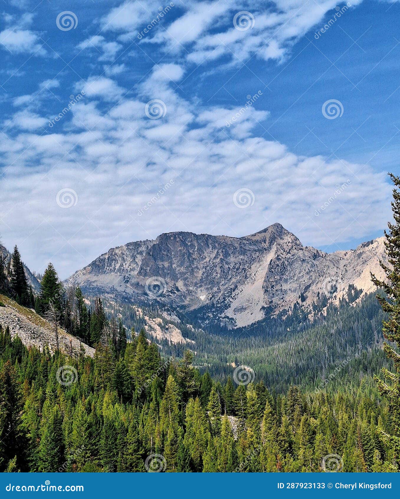 Idaho Sawtooth 1 stock image. Image of trees, outdoors - 287923133