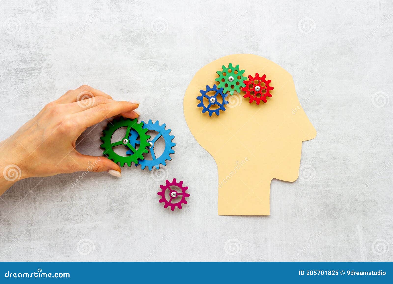 Idea Concept. Human Brain of Gears on the Paper Head, Top View Stock ...