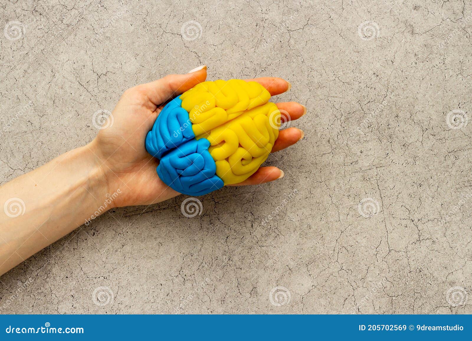Idea Concept. Use Your Brain. Model of Clay in the Hand, Top View Stock ...