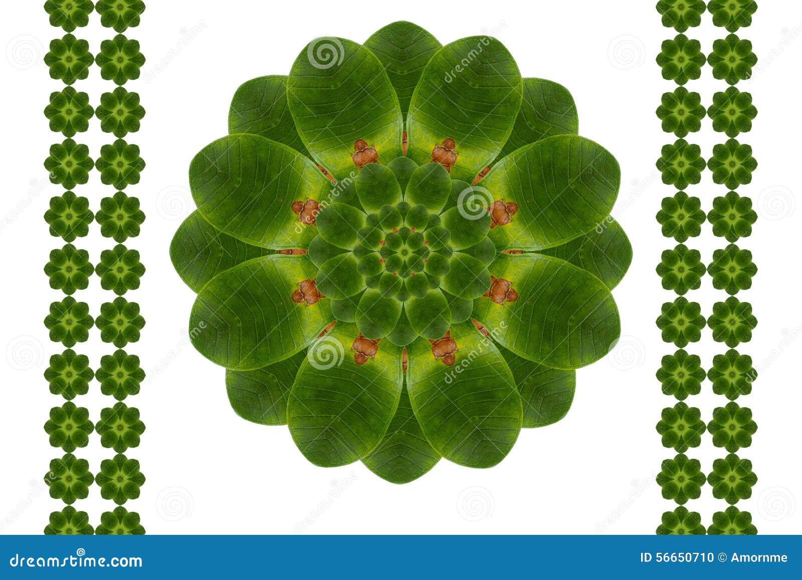 Idea form leaf. stock photo. Image of concept, macro - 56650710