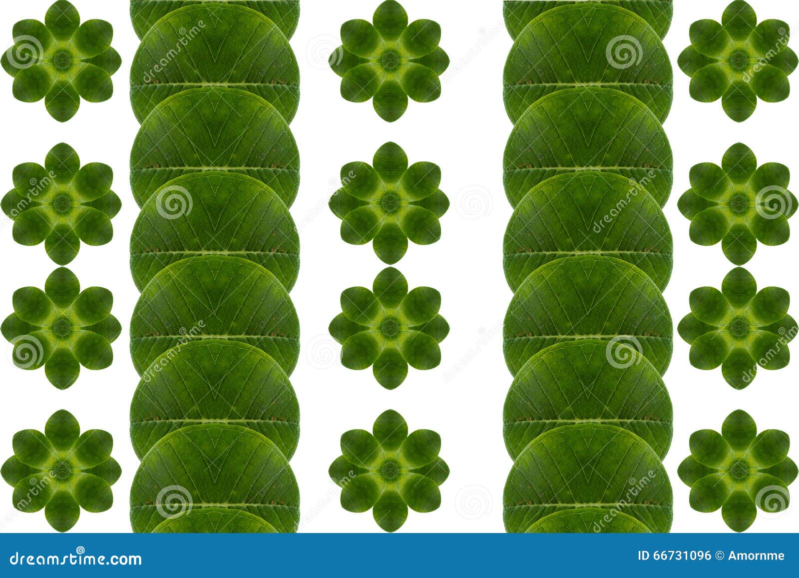 Idea form leaf. stock photo. Image of pattern, create - 66731096