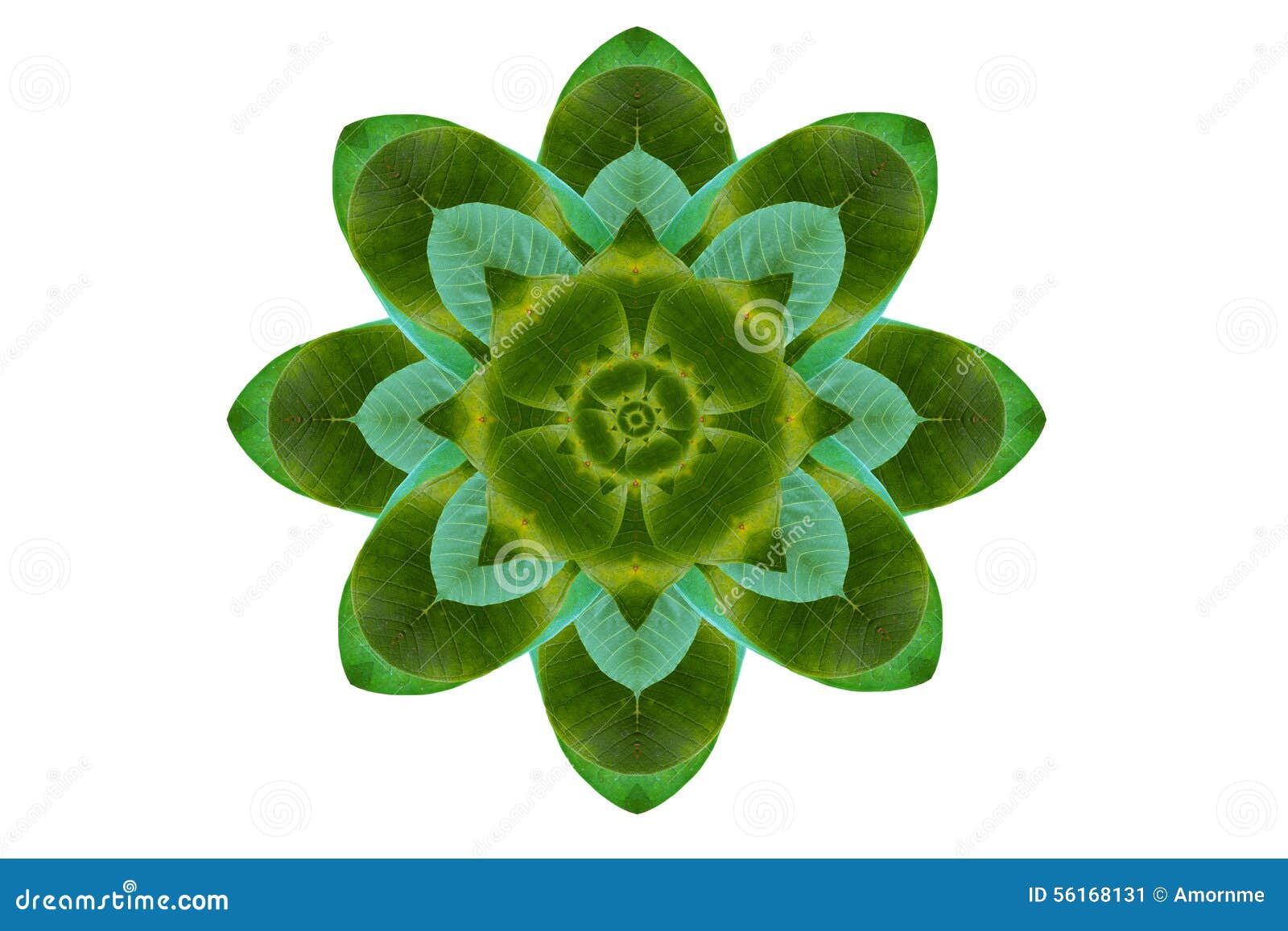 Idea Form Leaf. Stock Photography | CartoonDealer.com #56200622