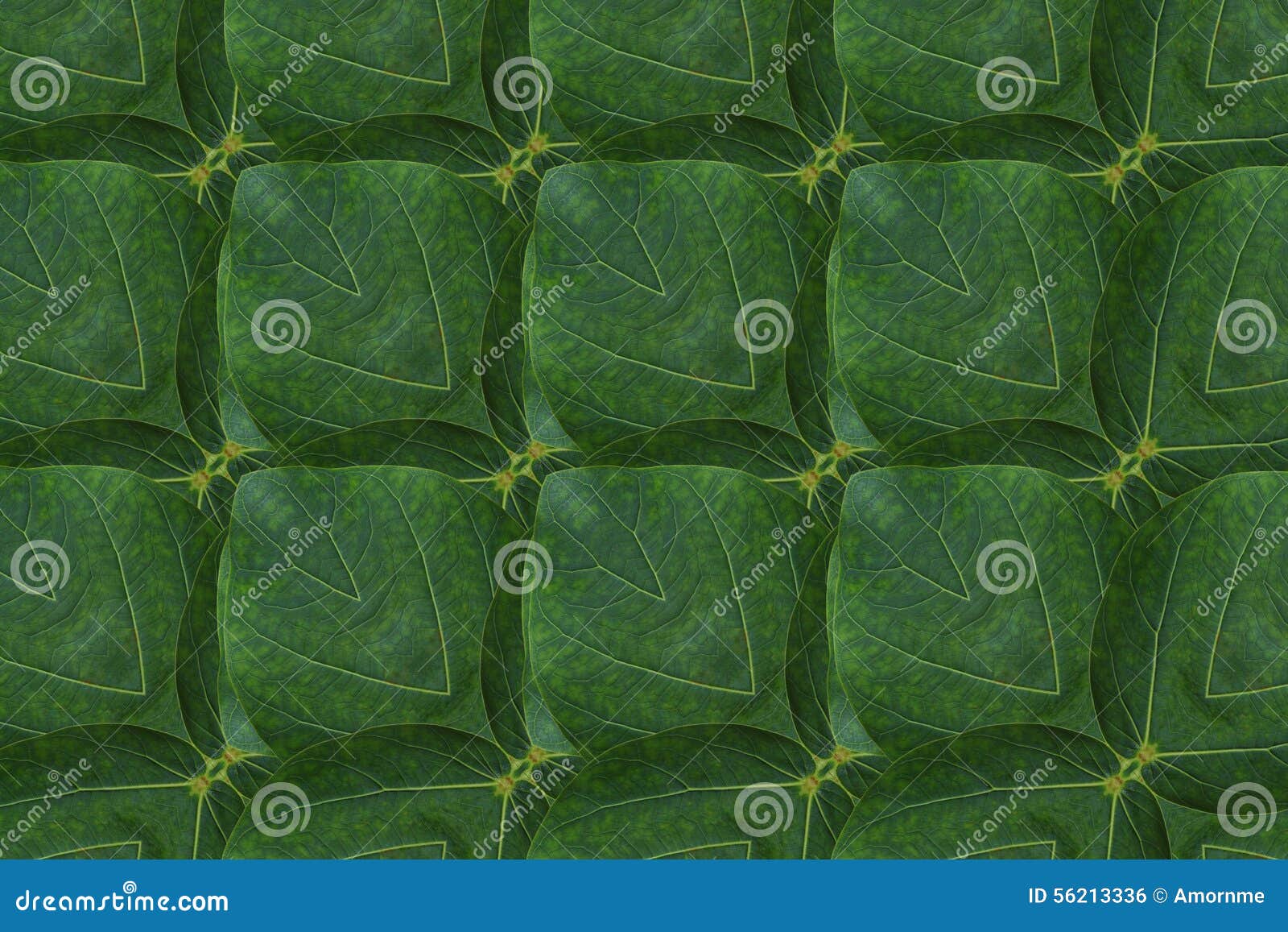 Idea form leaf. stock photo. Image of leaf, green, botanical - 56213336