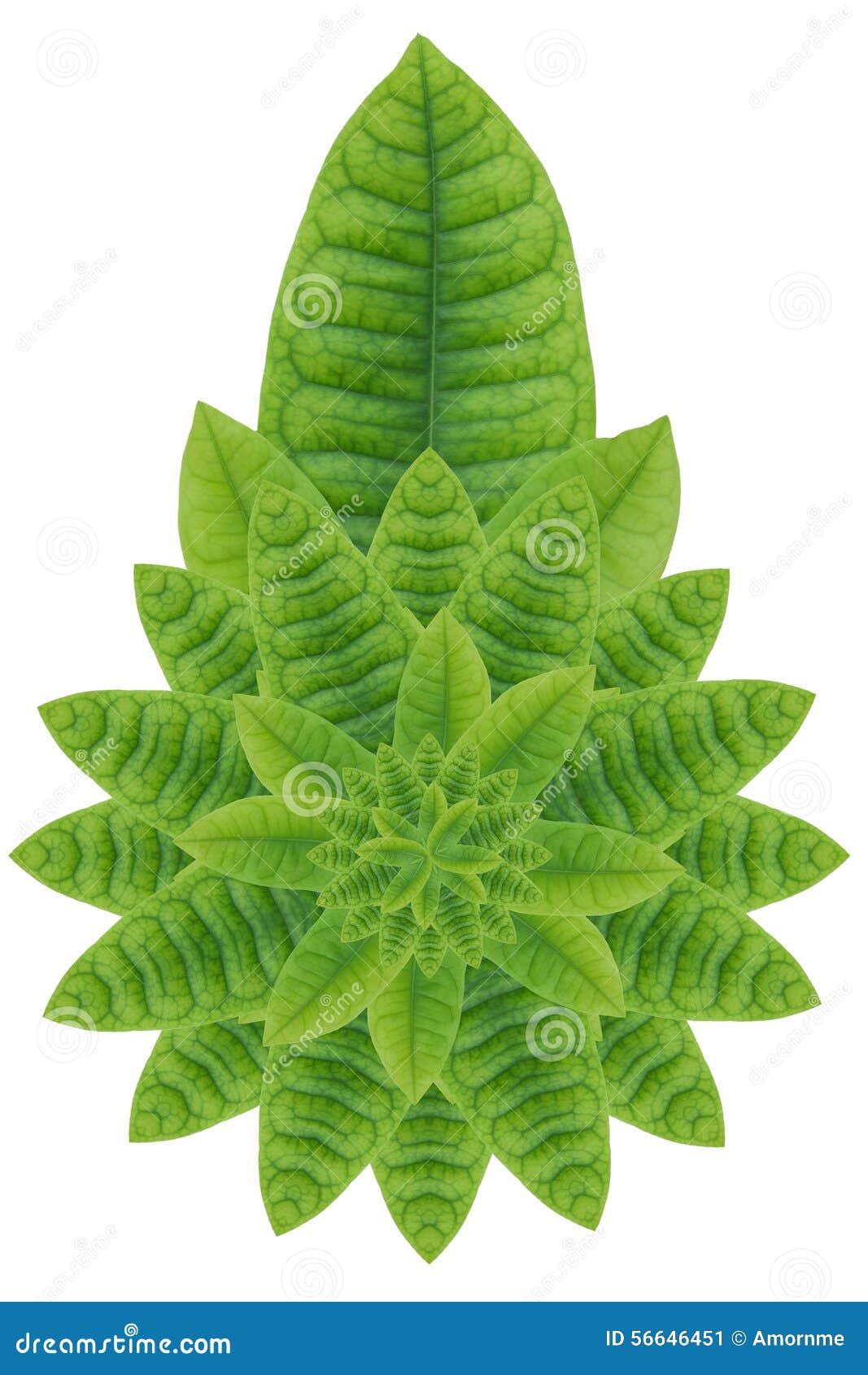 Idea form leaf. stock illustration. Illustration of abstract - 56646451