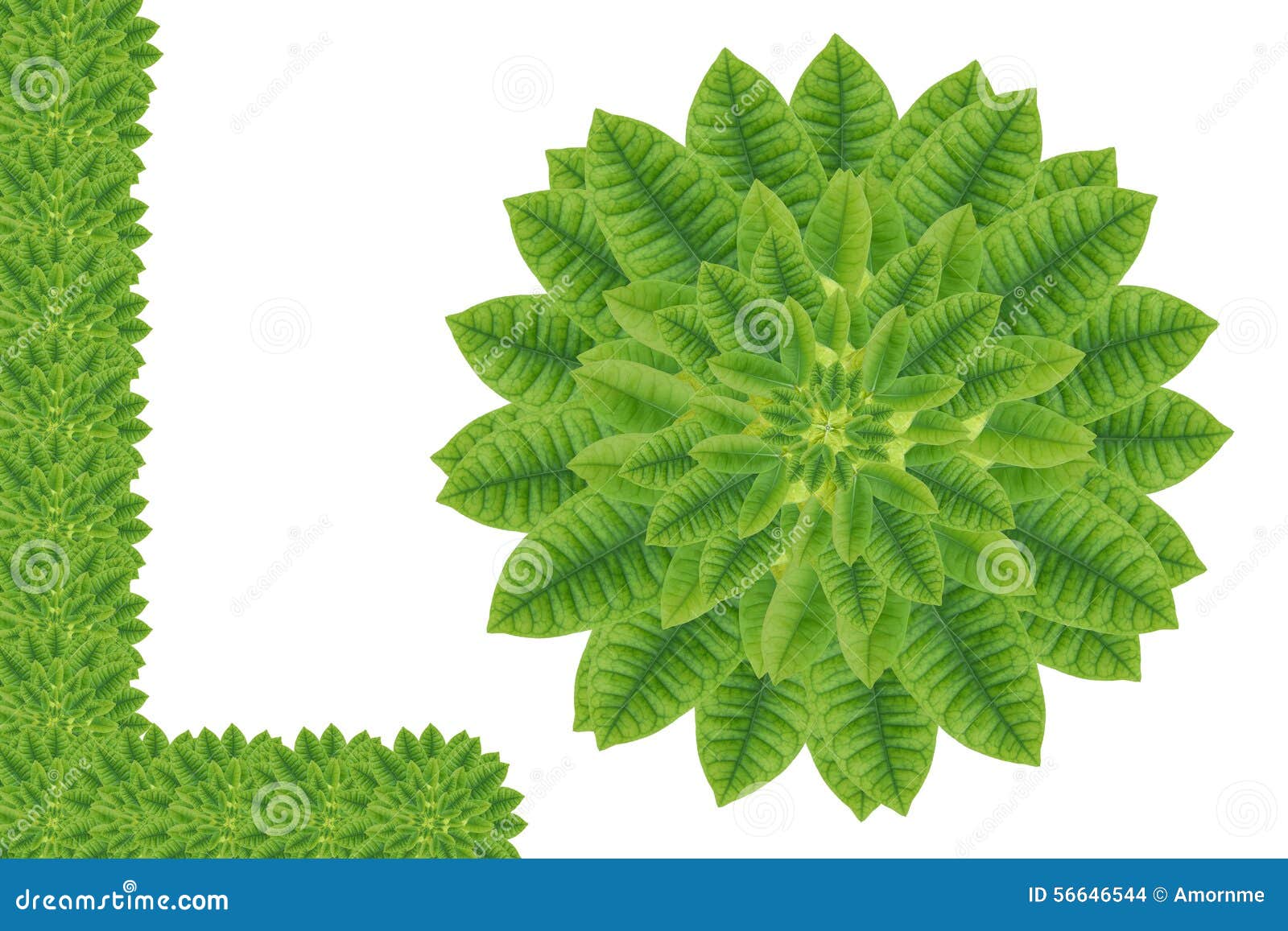 Idea form leaf. stock photo. Image of isolate, create - 56646544