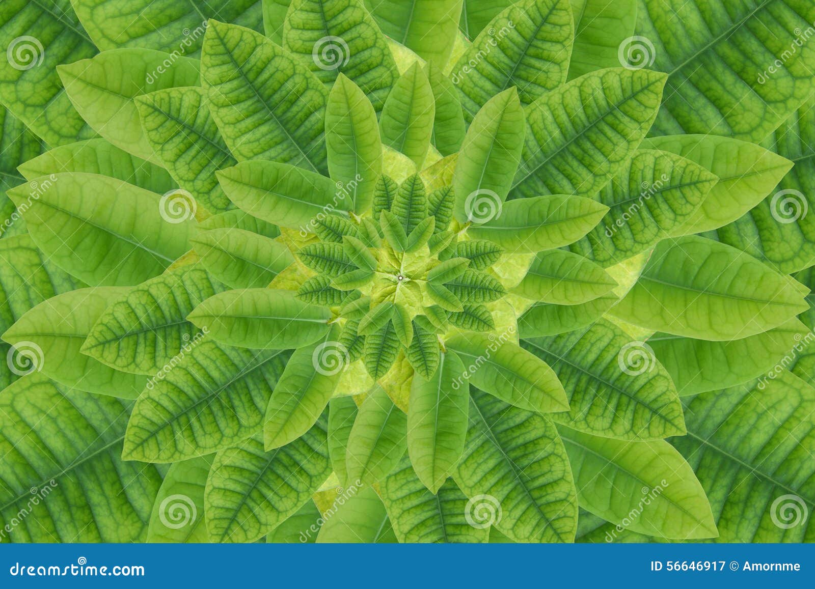 Idea form leaf. stock image. Image of business, backdrop - 56646917