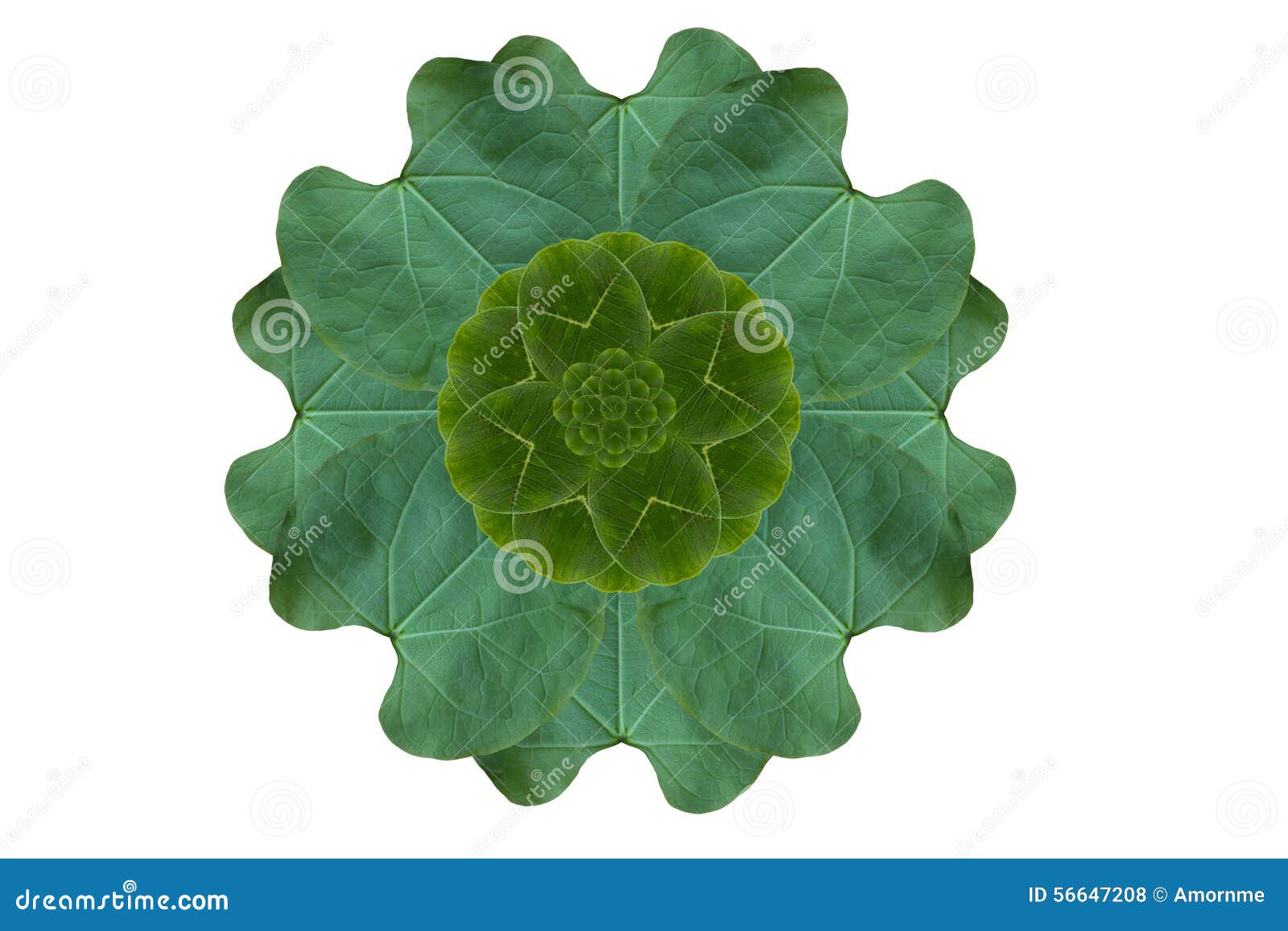 Idea form leaf. stock photo. Image of element, area, leave - 56647208