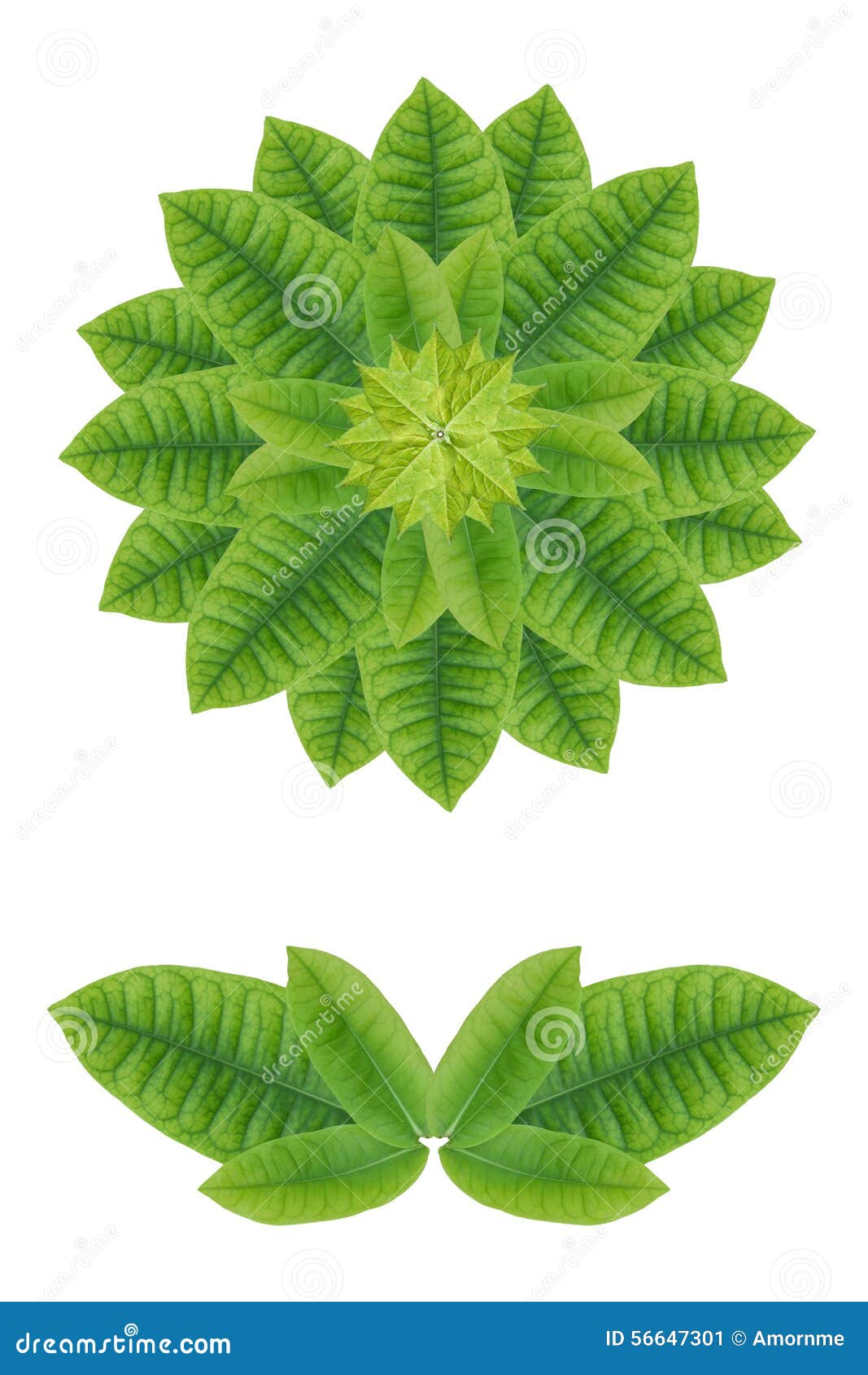 Idea form leaf. stock image. Image of business, backdrop - 56647301