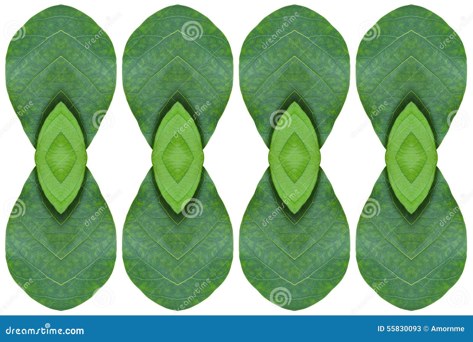 Idea form leaf. stock image. Image of botanical, concept - 55830093