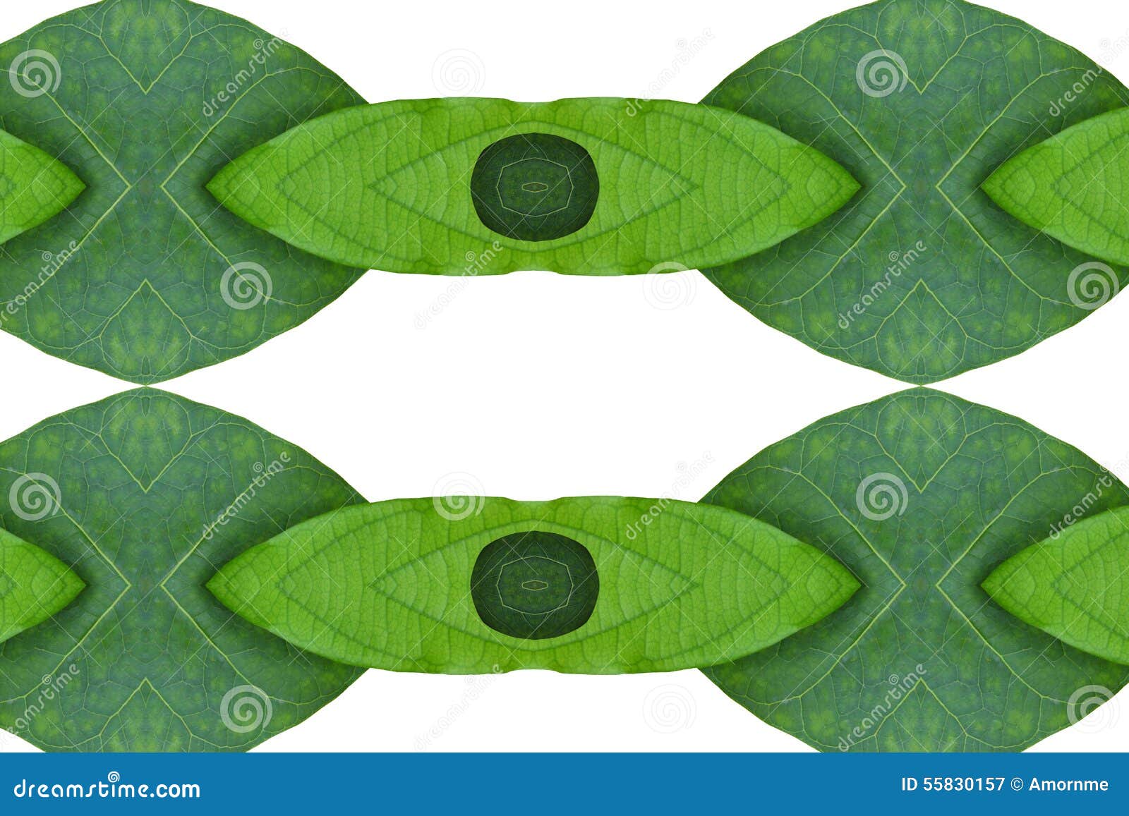 Idea form leaf. stock image. Image of botany, decorative - 55830157