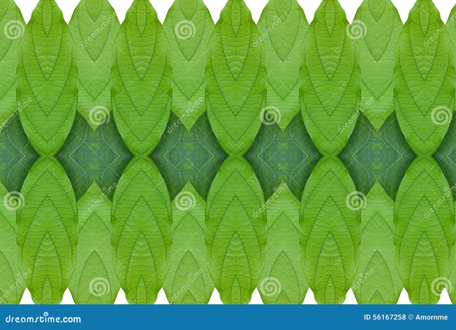 Idea Form Leaf. Stock Photography | CartoonDealer.com #56200622