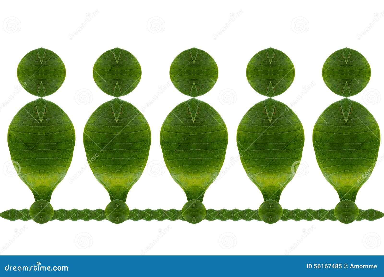 Idea form leaf. stock image. Image of concept, growing - 56167485