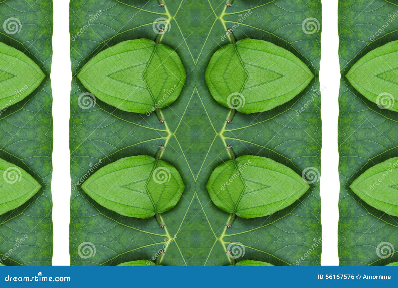 Idea Form Leaf. Stock Photography | CartoonDealer.com #56200622