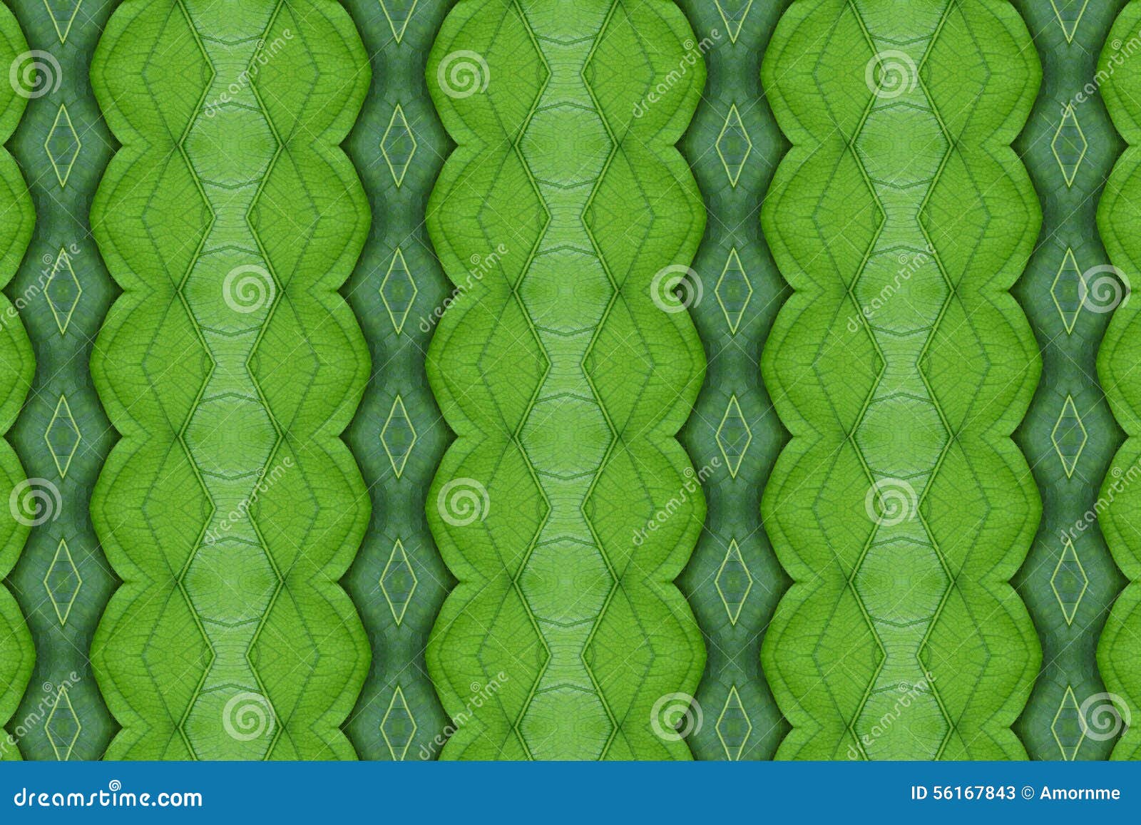 Idea form leaf. stock image. Image of growth, form, botanic - 56167843