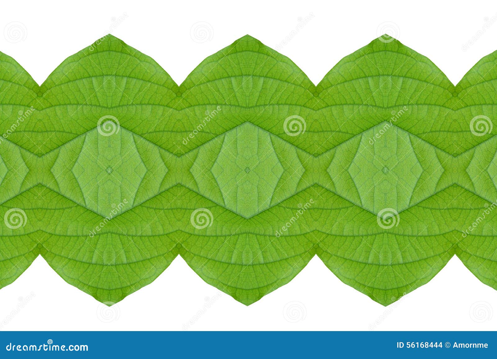 Idea form leaf. stock photo. Image of growth, bordered - 56168444