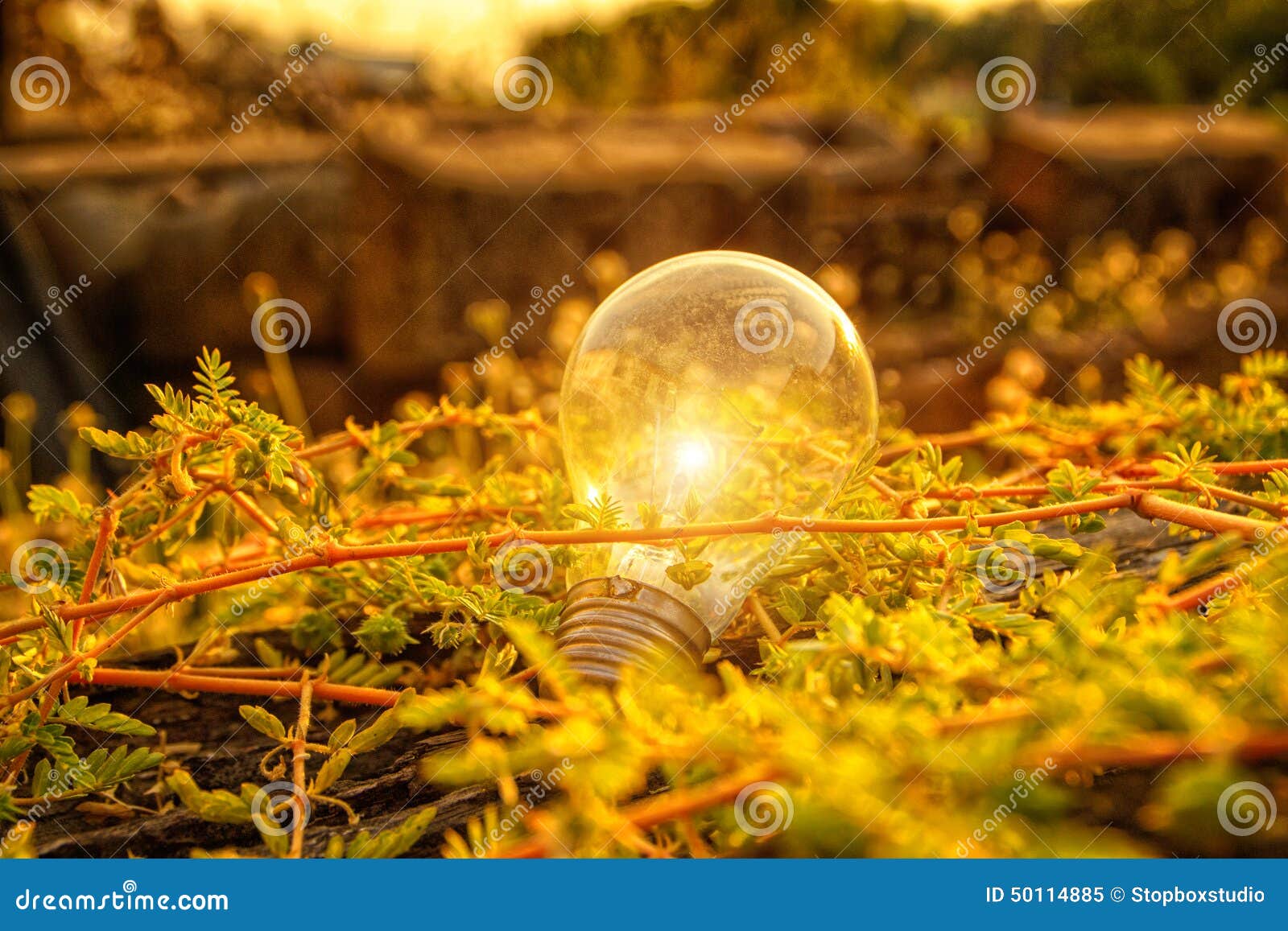 The Idea stock image. Image of technique, range, creative - 50114885