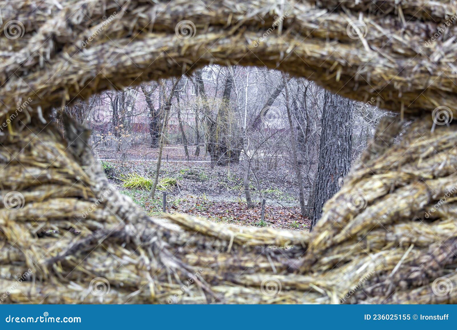 The Idea of Using Dry Grass To Decorate Your Garden or Backyard Stock ...