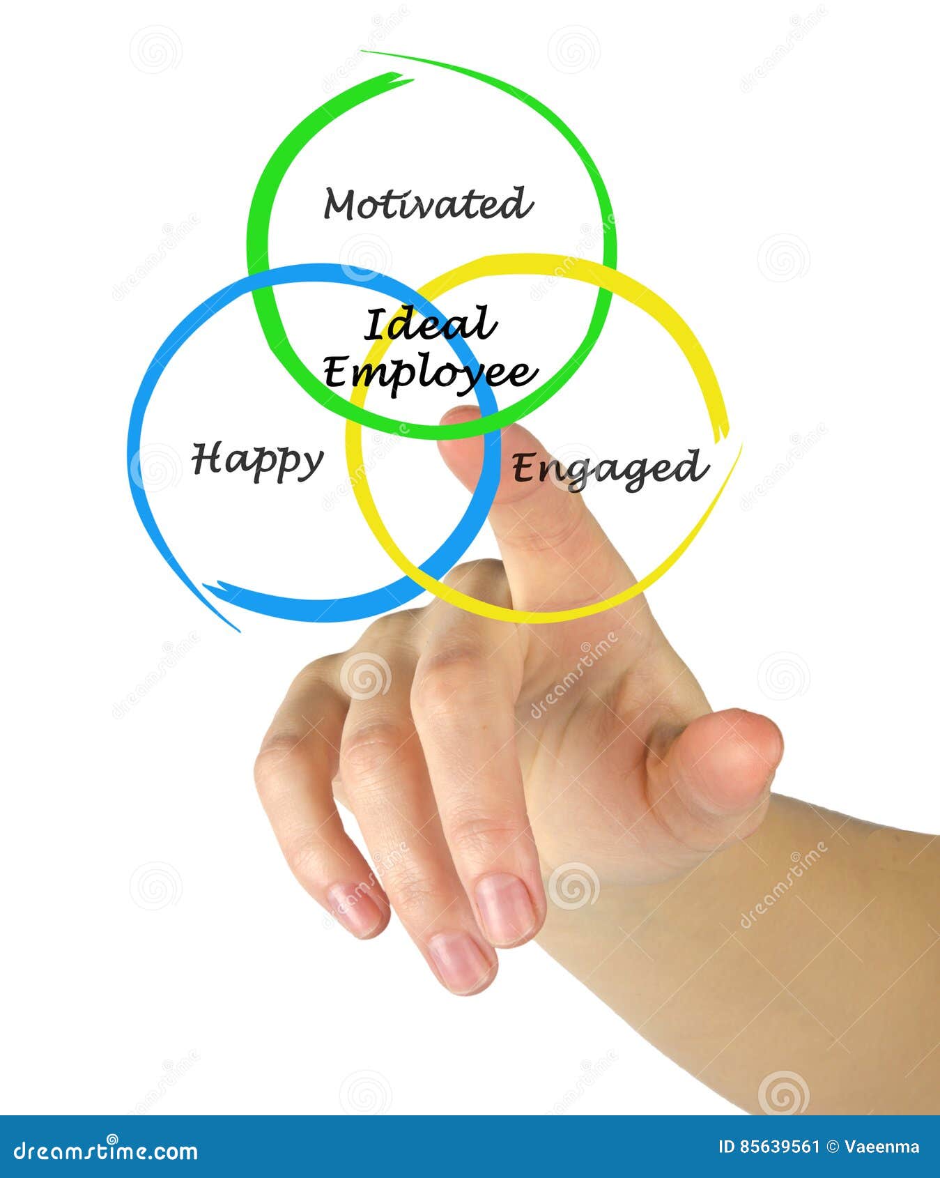 Ideal Employee stock image. Image of employeer, employee - 85639561