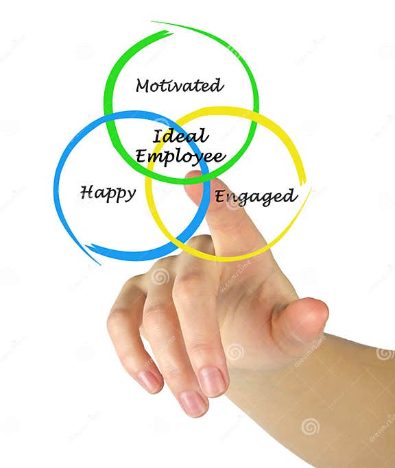 Ideal Employee stock image. Image of employeer, employee - 85639561