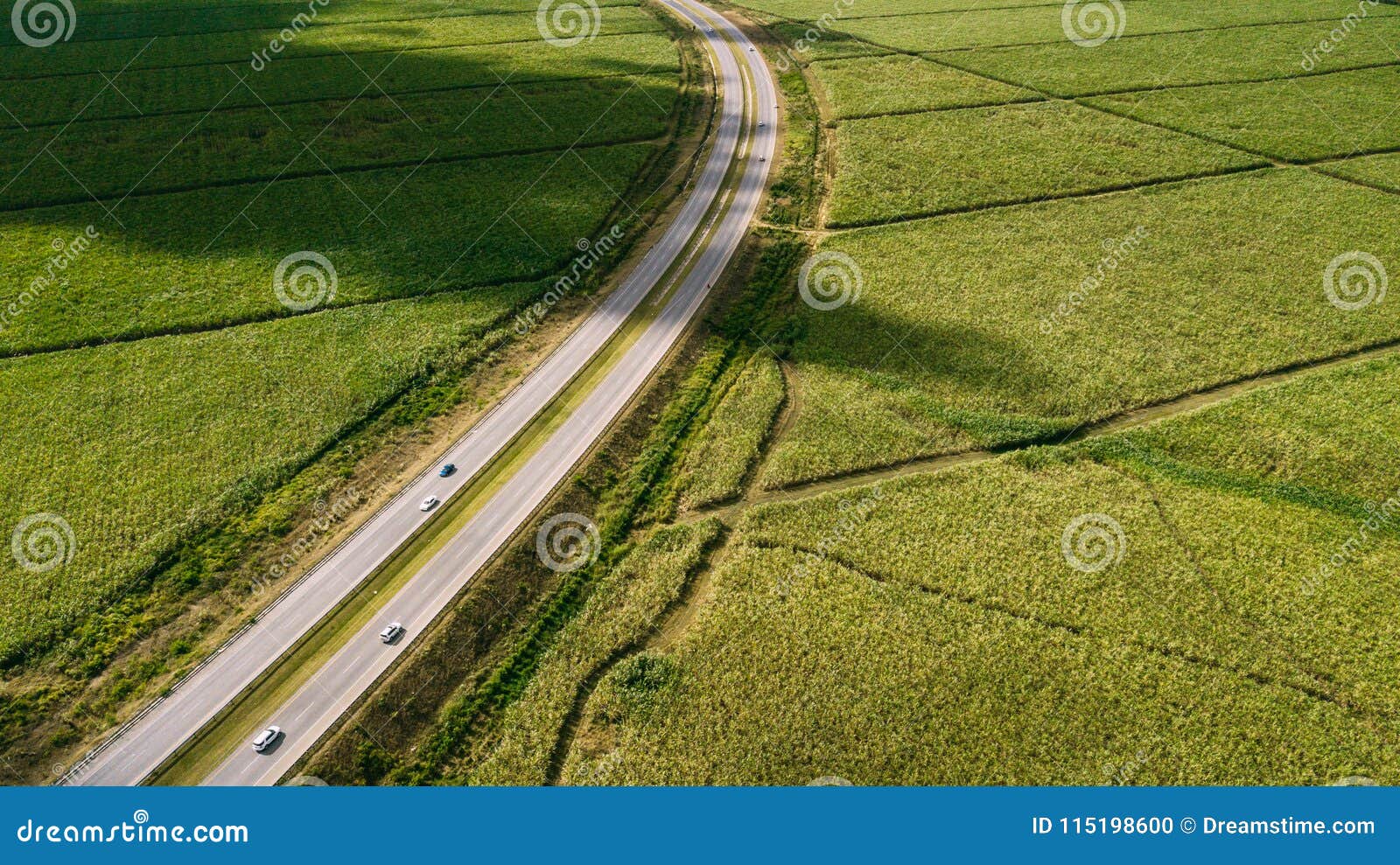 Lines On The Road Pedestrian Pathway Road Marking Straight Lines. Stock ...
