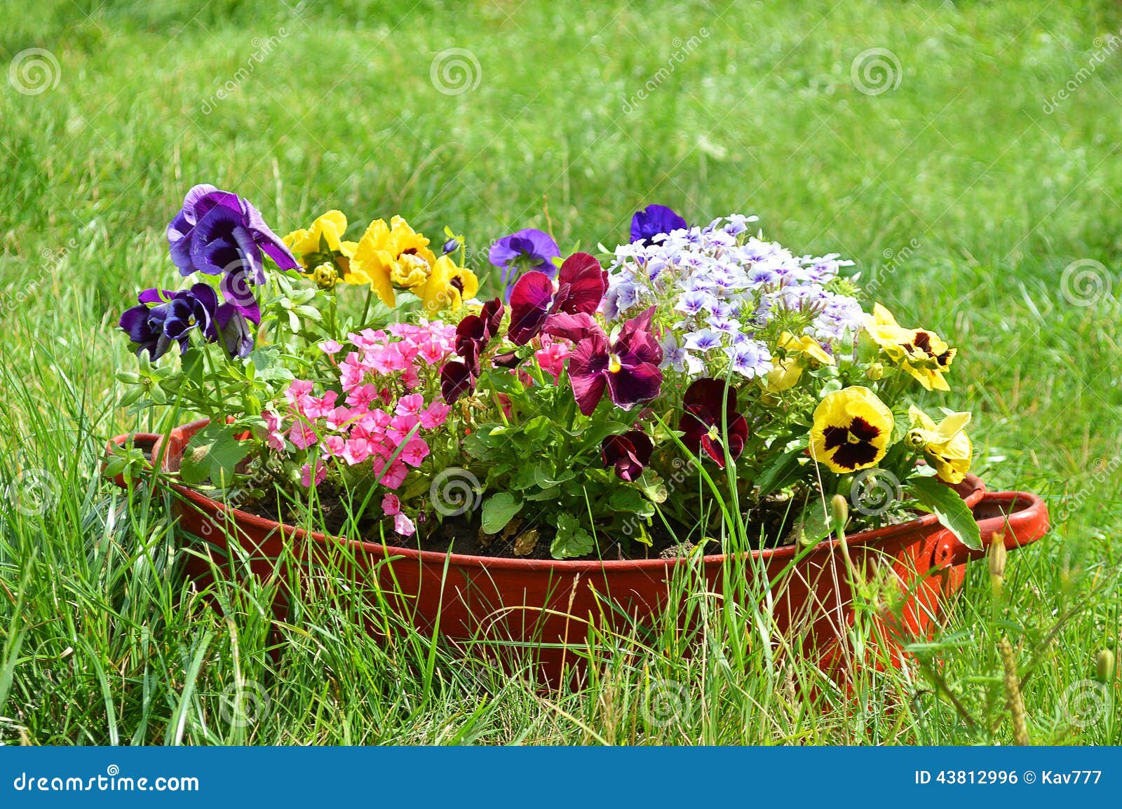 Ideas for Garden - Flowers in Old Wash-basin Stock Photo - Image of ...