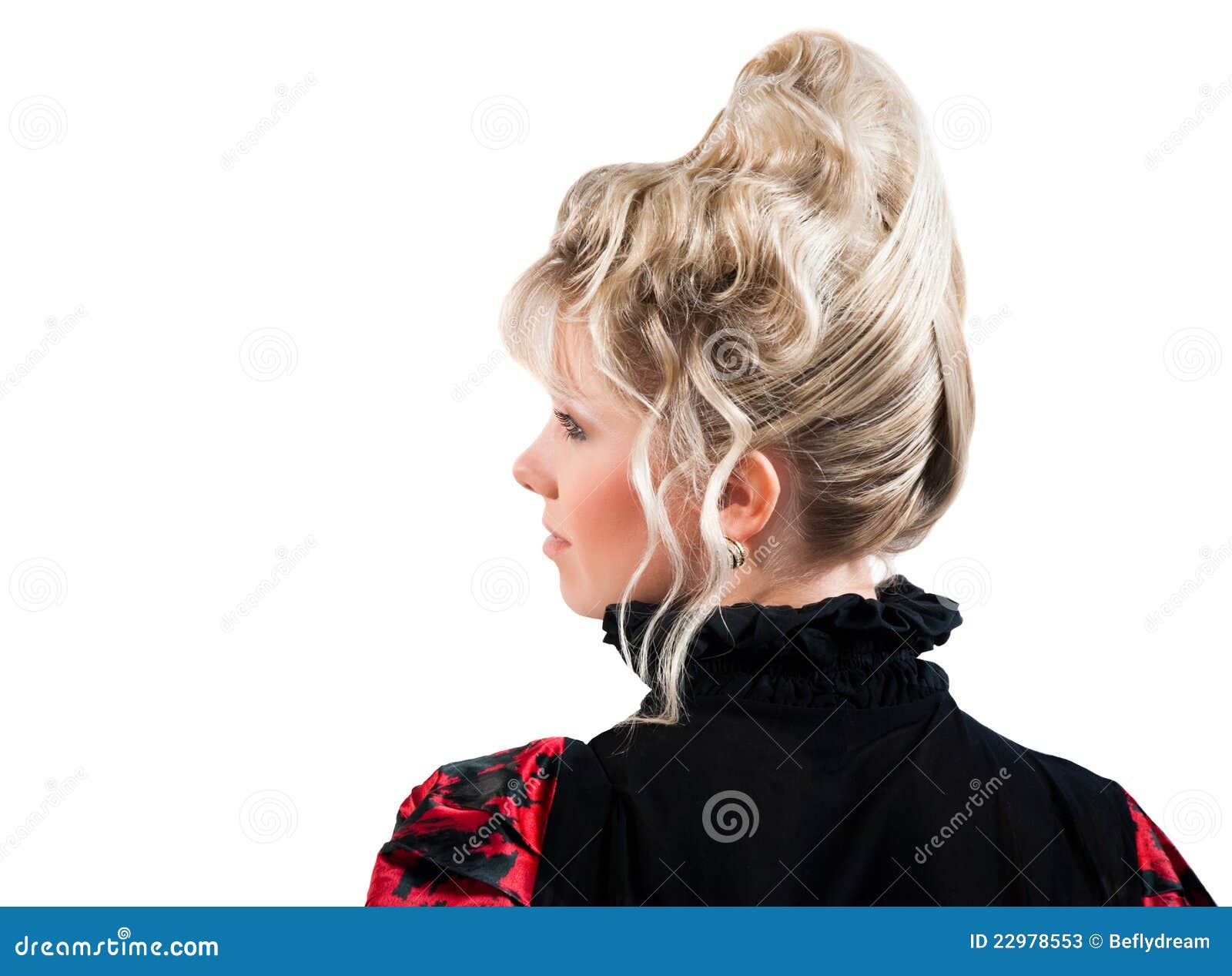 Ideia Traseira Do Penteado Da Beleza Isolada Imagem de Stock - Imagem ...