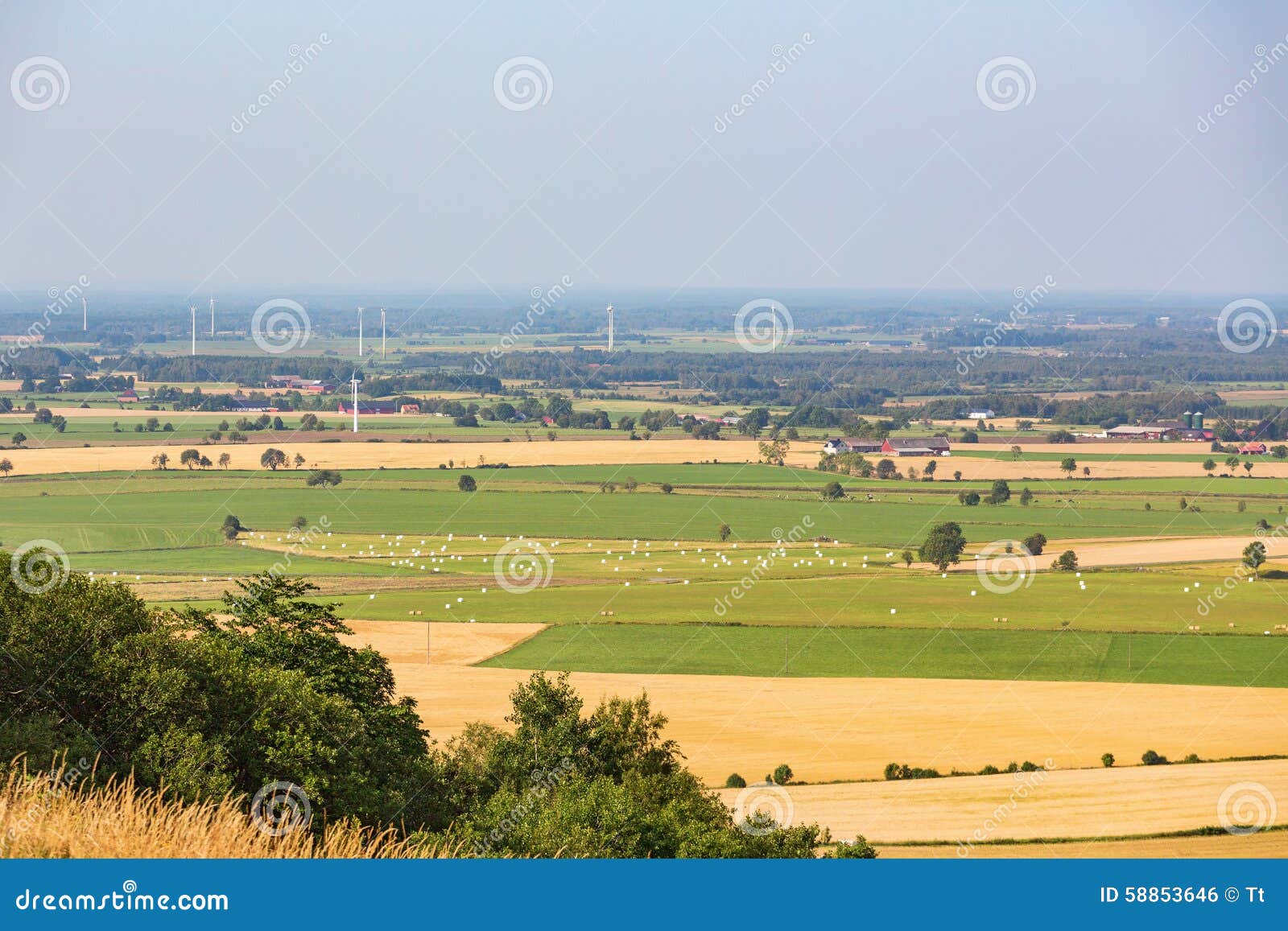 Ideias Das Paisagens Rurais Foto de Stock - Imagem de cultive, colheita ...