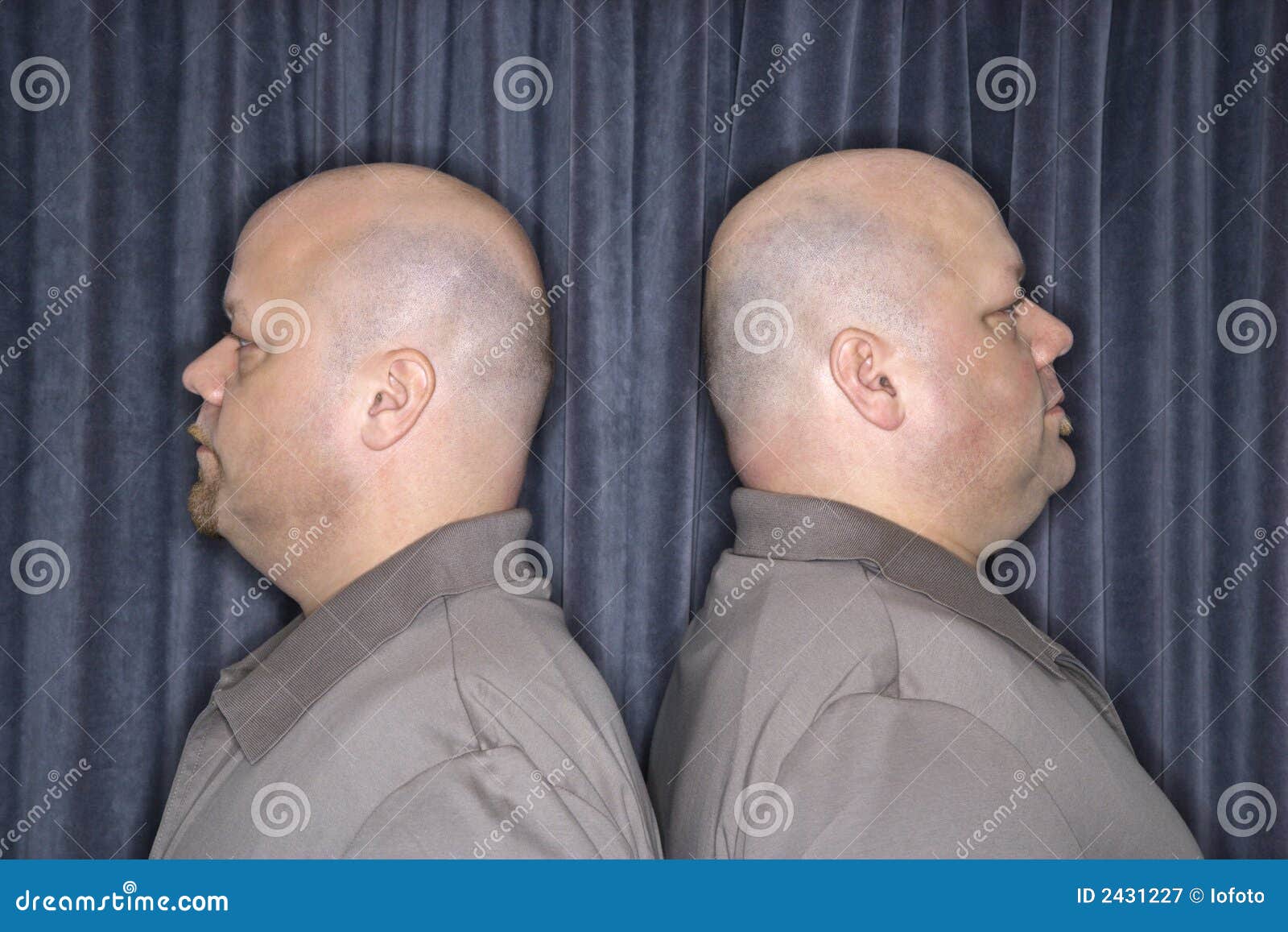 Identical twin men. stock image. Image of bald, similarity - 2431227