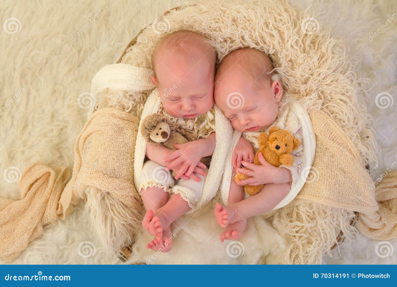 Identieke Tweeling Met Teddyberen Stock Afbeelding - Image of gesteld ...