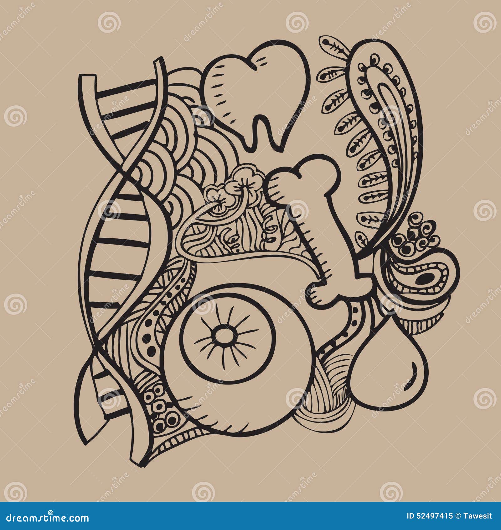 Identification Organs And Specimens Doodle Vector Illustration ...