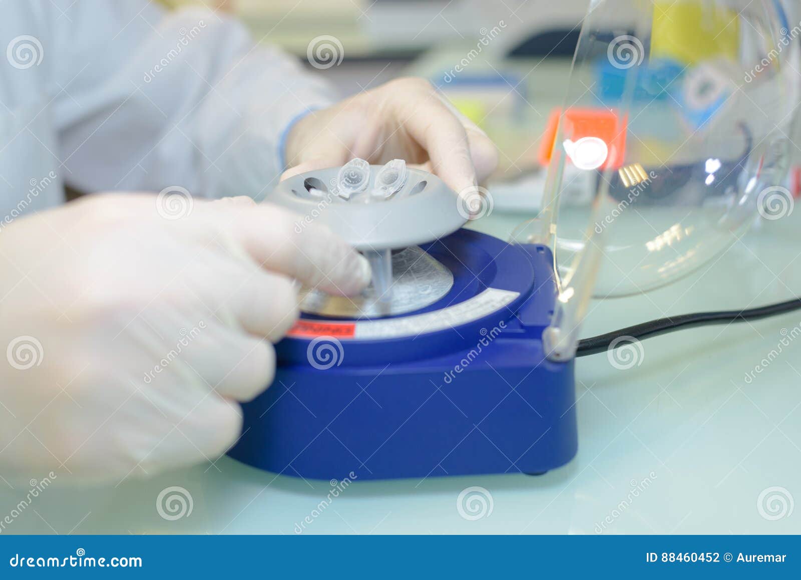 Identification Examination in Lab Stock Photo - Image of laboratory ...
