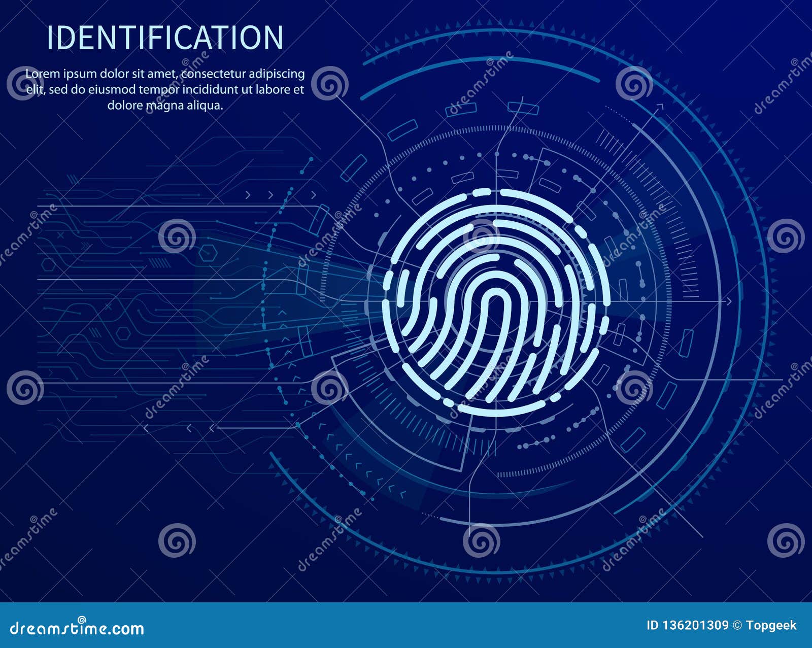 Identification Poster With Text Sample Vector | CartoonDealer.com ...