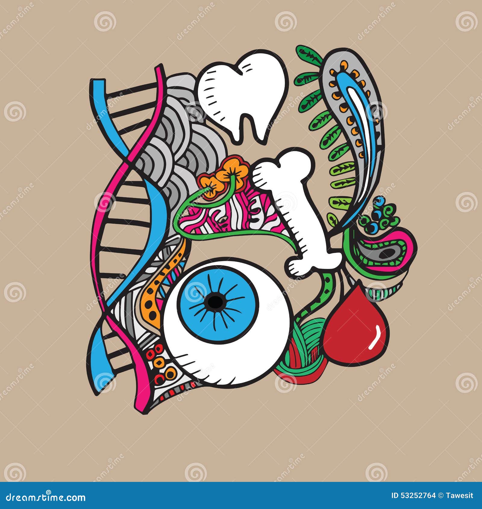 Identification Organs And Specimens Doodle Vector Illustration ...
